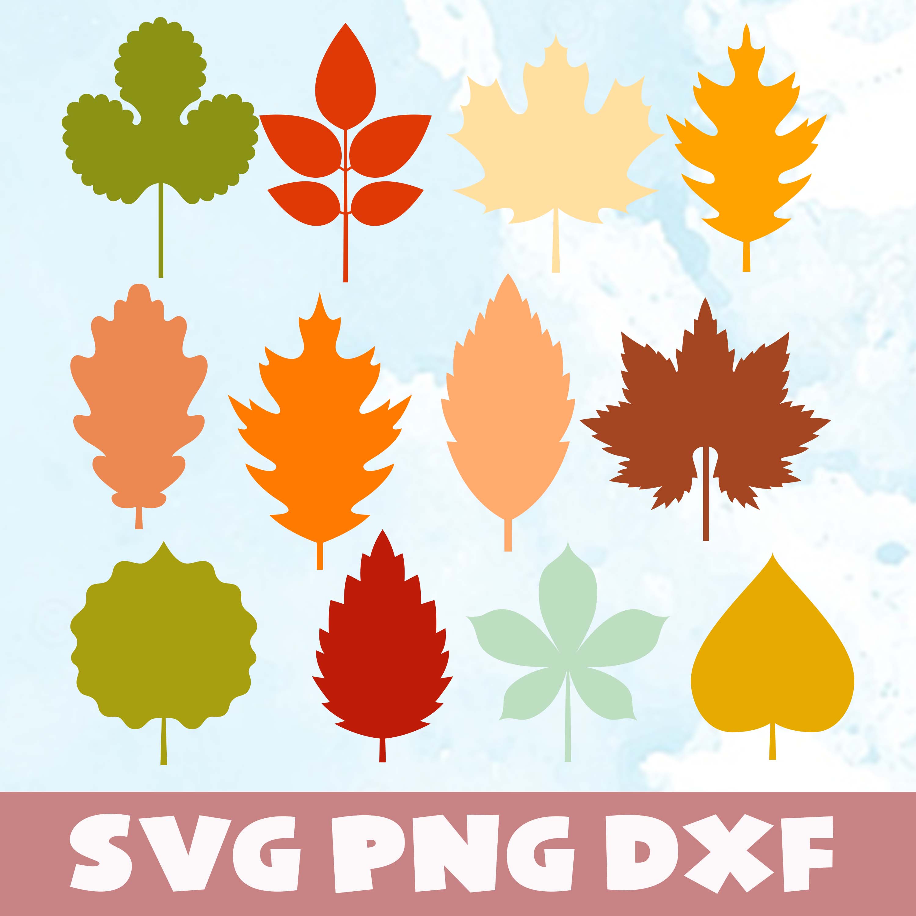 Autumn leaves svg,png,dxf,Autumn leaves svg bundle,png,dxf,V | Inspire ...