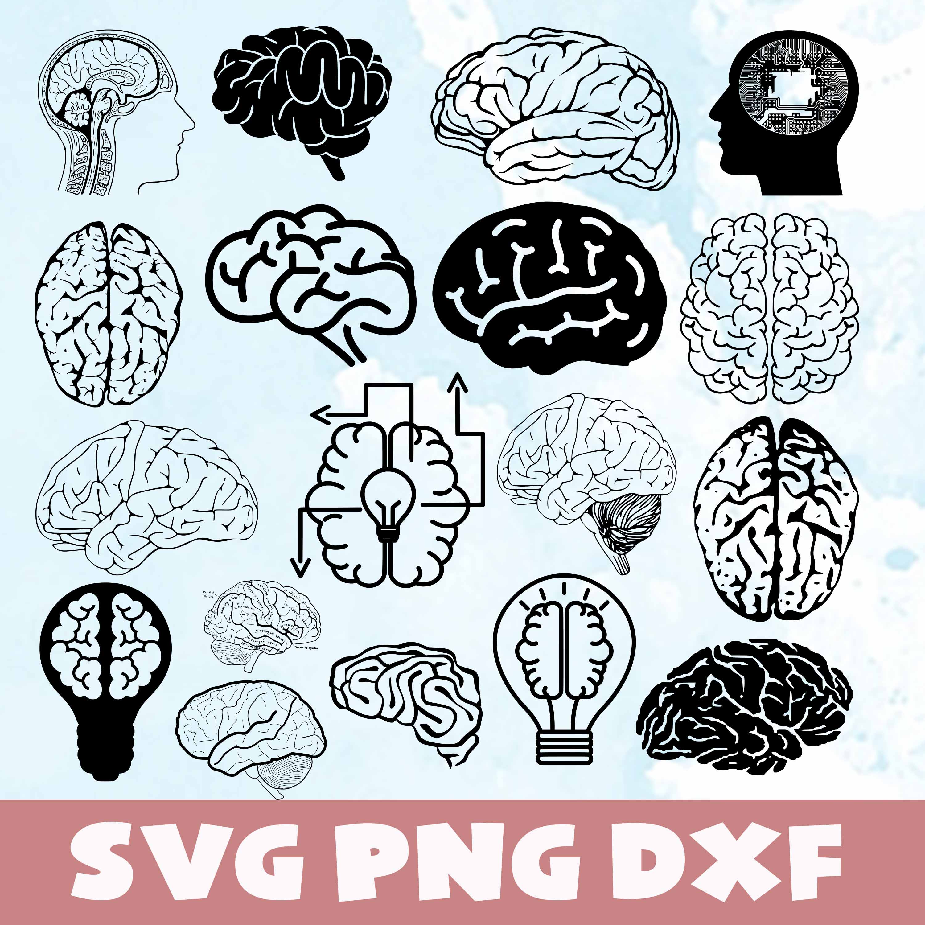 Brain svg,png,dxf, Brain bundle svg,png,dxf,Vinyl Cut File,P | Inspire ...