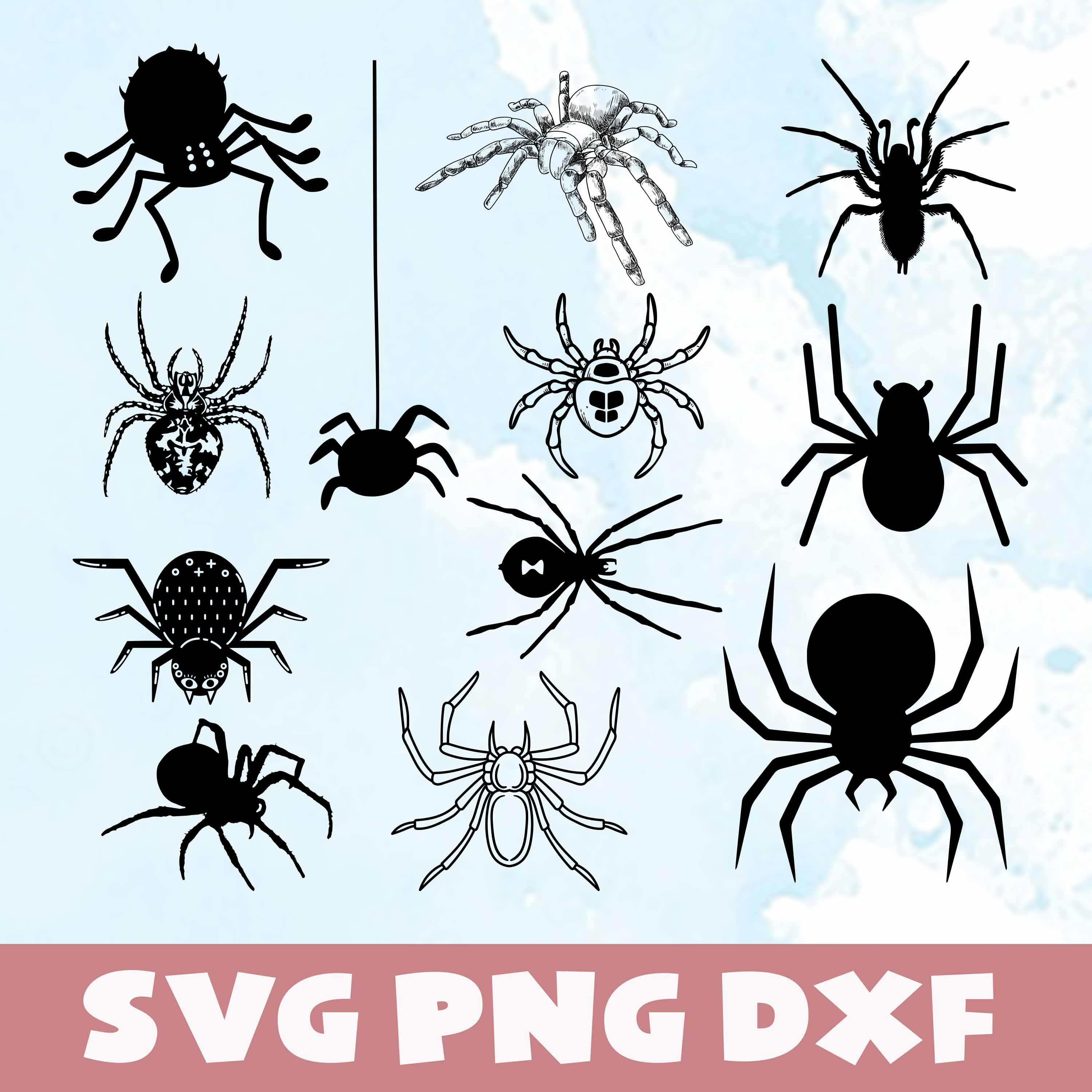 Spider svg,png,dxf, Spider bundle svg, png,dxf,Vinyl Cut Fil | Inspire ...