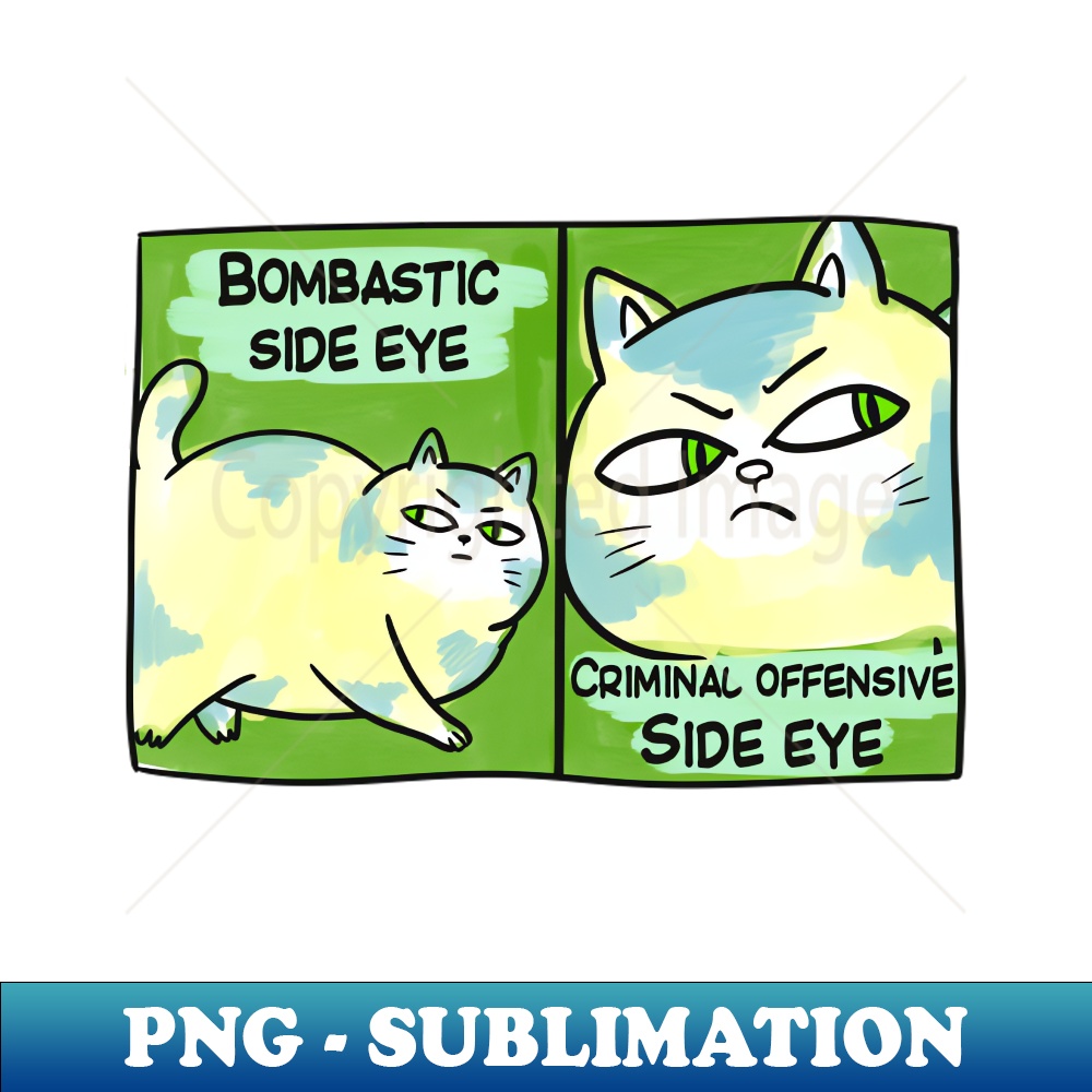 BOMBASTIC SIDE EYE FUNNY TIKTOK CAT MEME - PNG Transparent S | Inspire ...