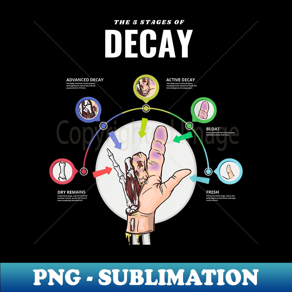 Stages of Decay Forensic Science - Medical examiner - Inspire Uplift