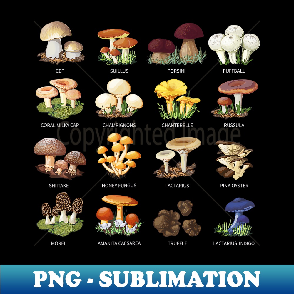 Funny Mushroom Mycology Fungi Foraging Mushroom Whisperer - | Inspire ...
