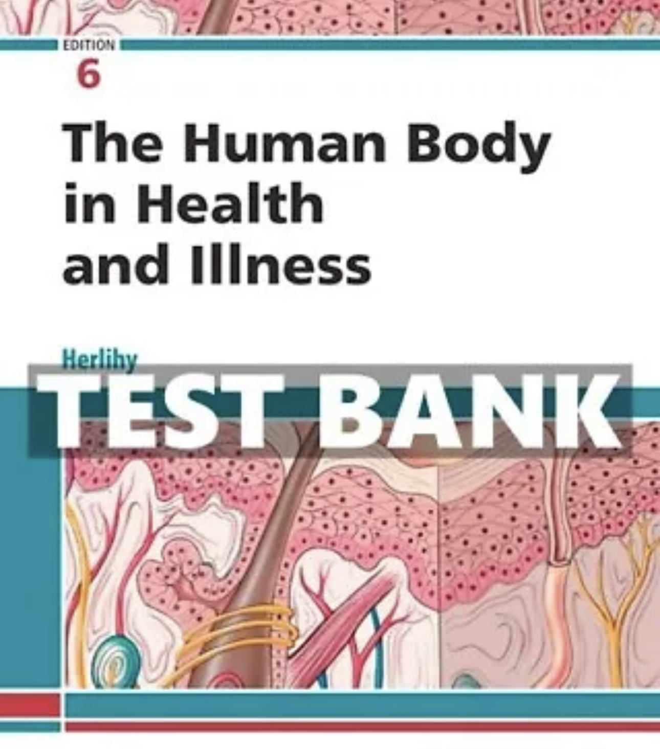Test Bank The Human Body In Health And Illness 6th Edition | Inspire Uplift