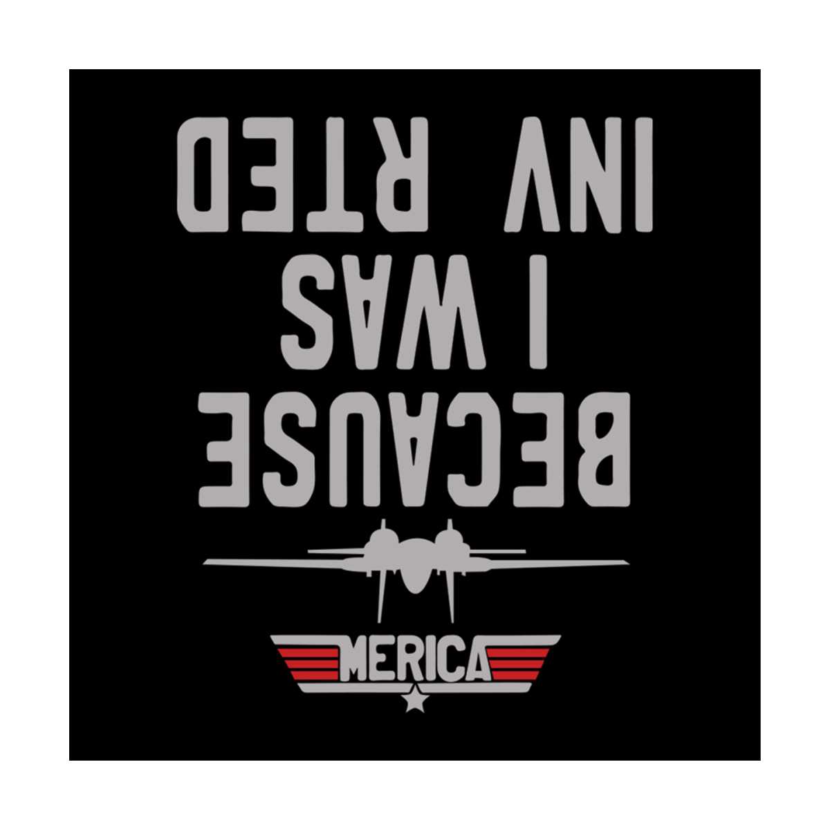 Jet Fighter Airplane Air Craft Because I Was Inverted svg - Inspire Uplift