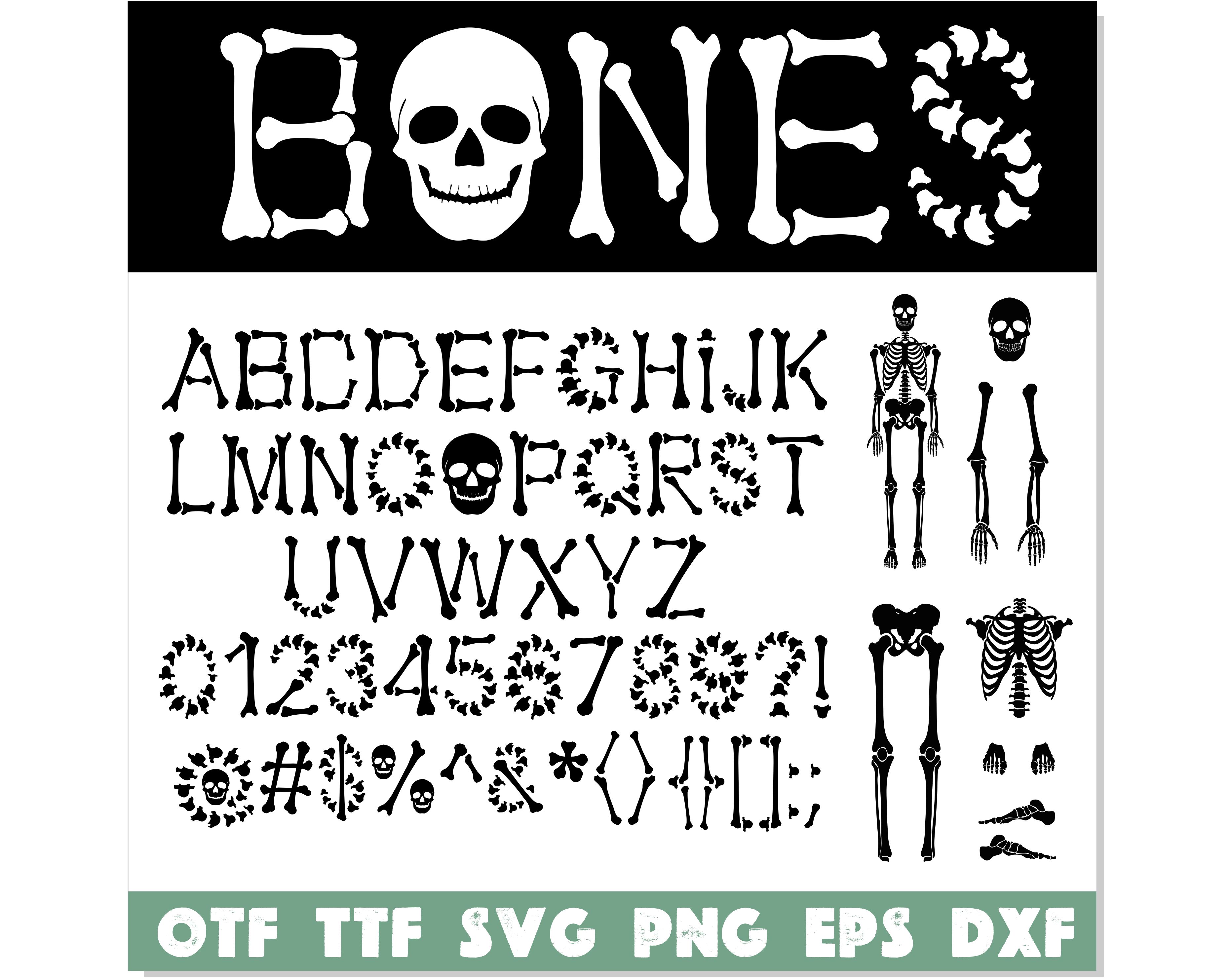 Bones font OTF, Skeleton Parts svg, Bones font svg, Pirate f | Inspire ...