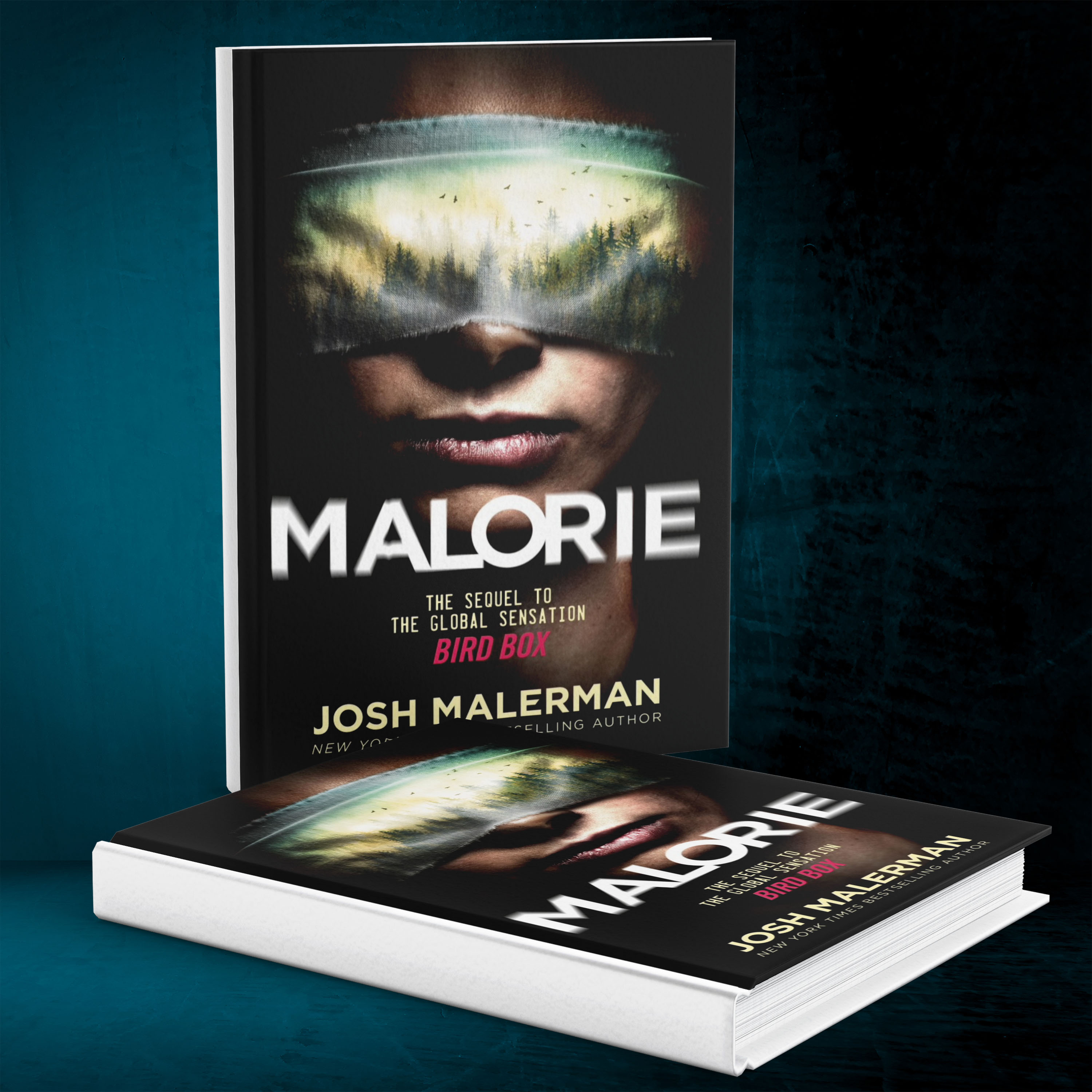 Malorie by Josh Malerman | Inspire Uplift