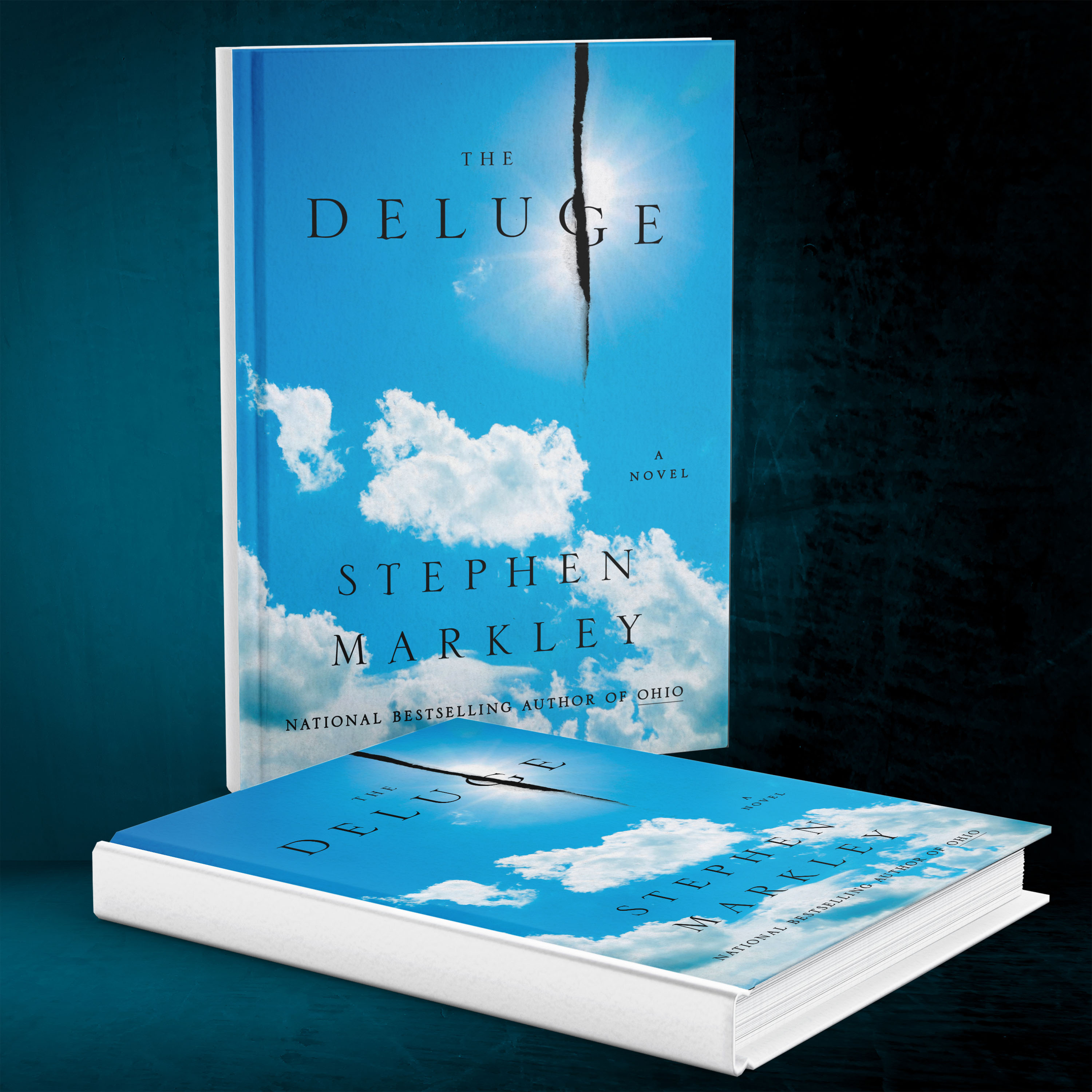 The Delug by Stephen Markley | Inspire Uplift