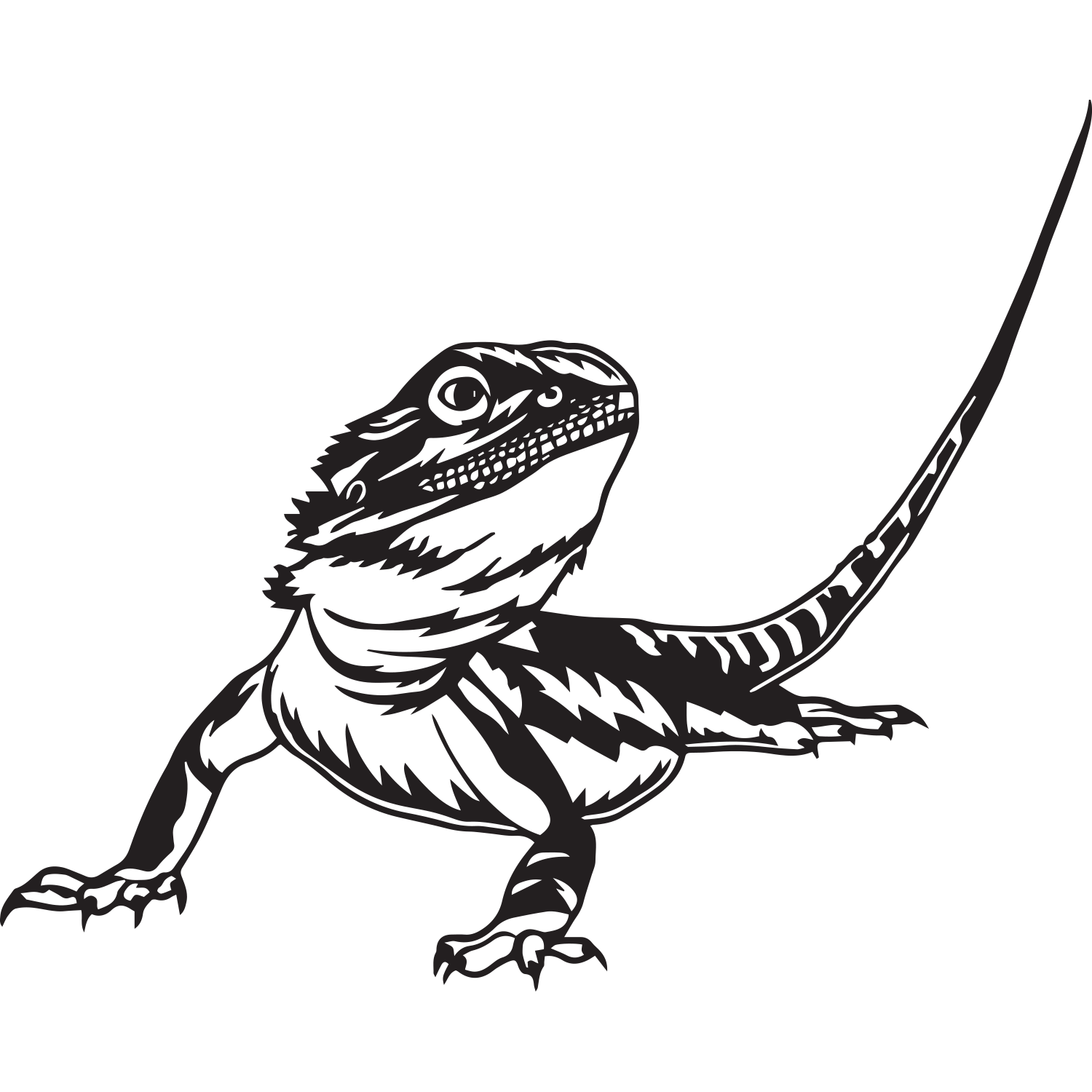 Bearded Dragon Svg Lizard Svg Reptile Svg Bearded Dragon Png | Inspire ...