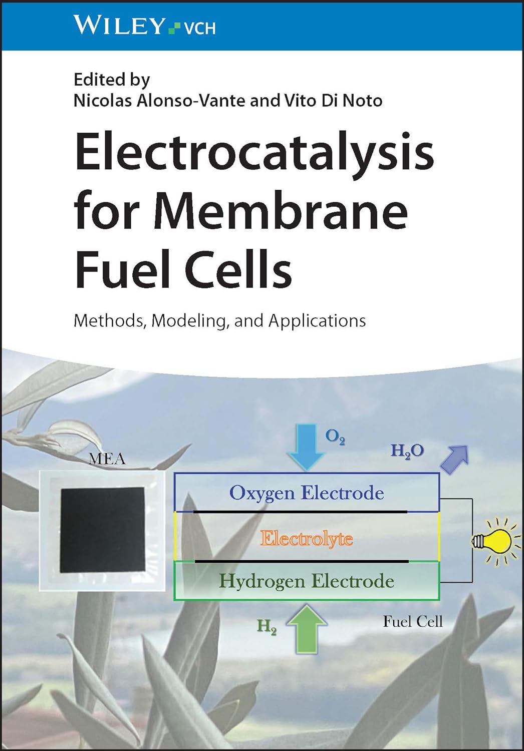 Electrocatalysis for Membrane Fuel Cells: Methods, Modeling, - Inspire ...