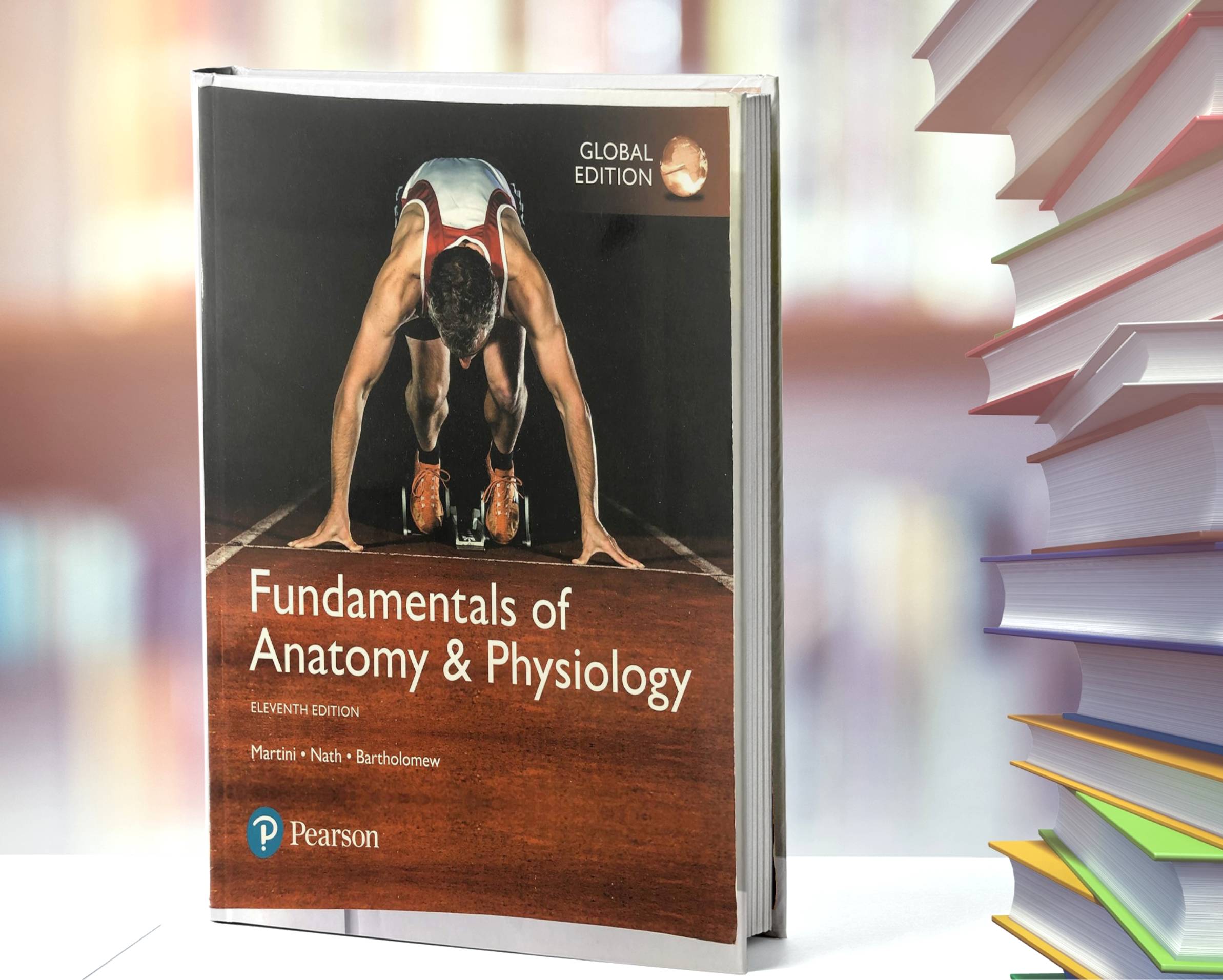 Fundamentals Of Anatomy Physiology By Edwin Bartholomew Fr Inspire