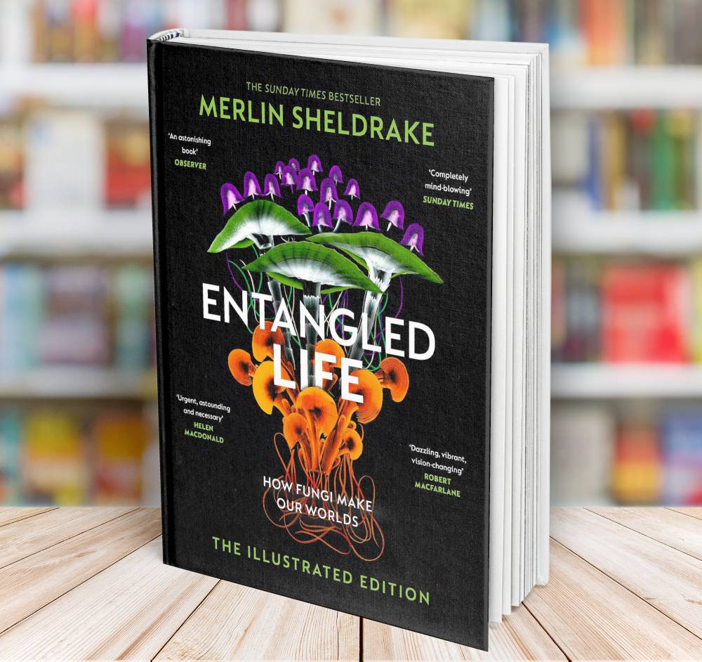Entangled Life (The Illustrated Edition) A beautiful new ed | Inspire ...