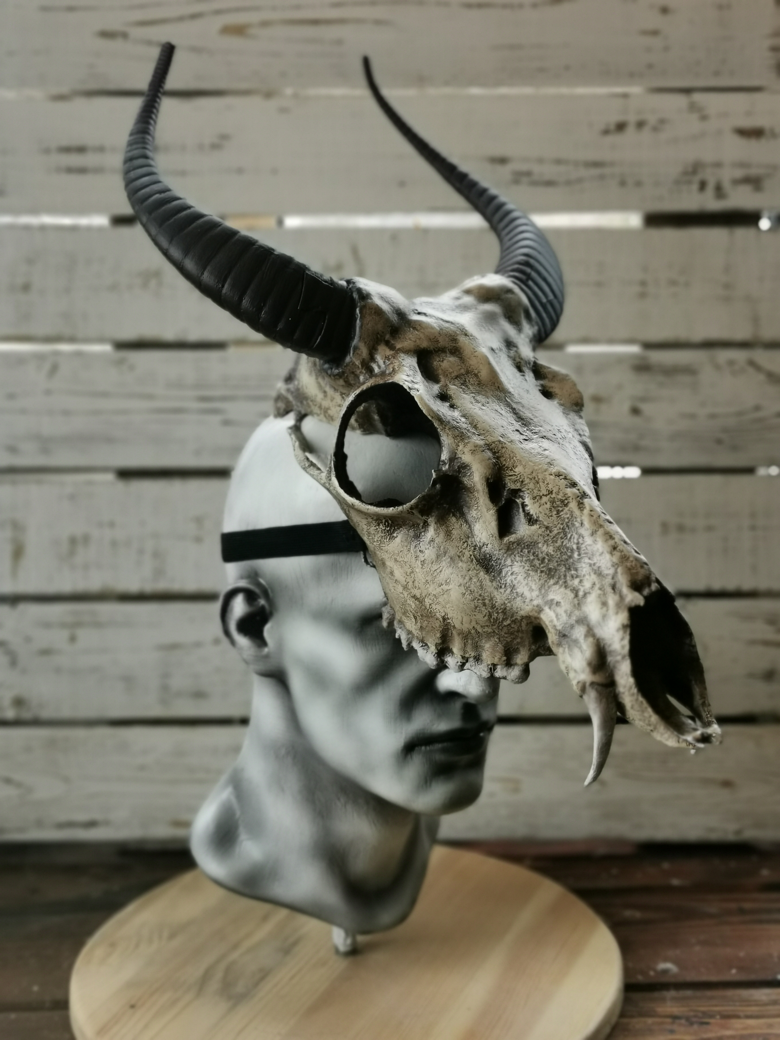 Helmet (crown) deer skull on the head, musk deer skull, fant | Inspire ...