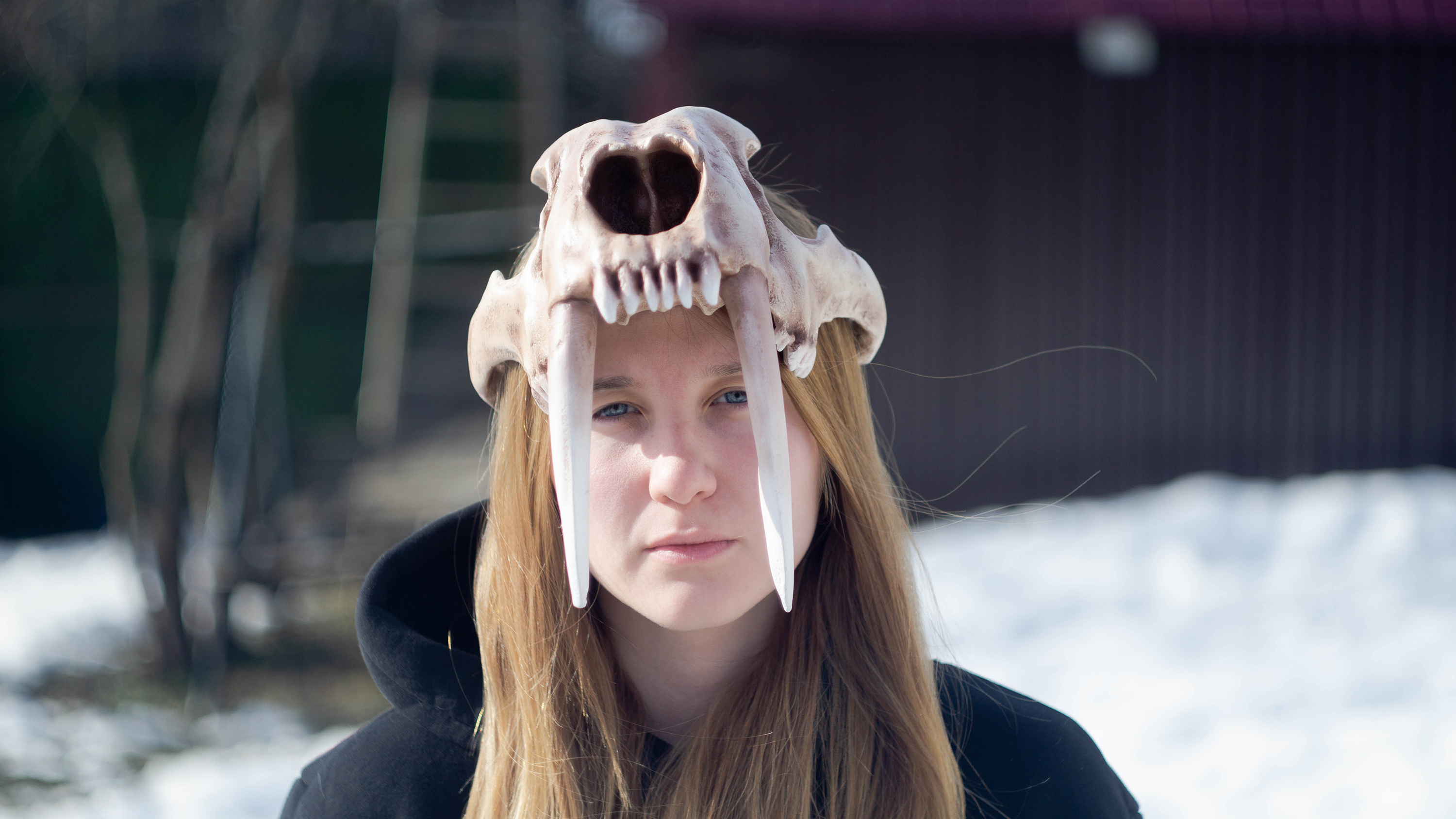 Smilodon Skull Mask Helmet | Horror Mask | Realistic Animal | Inspire ...