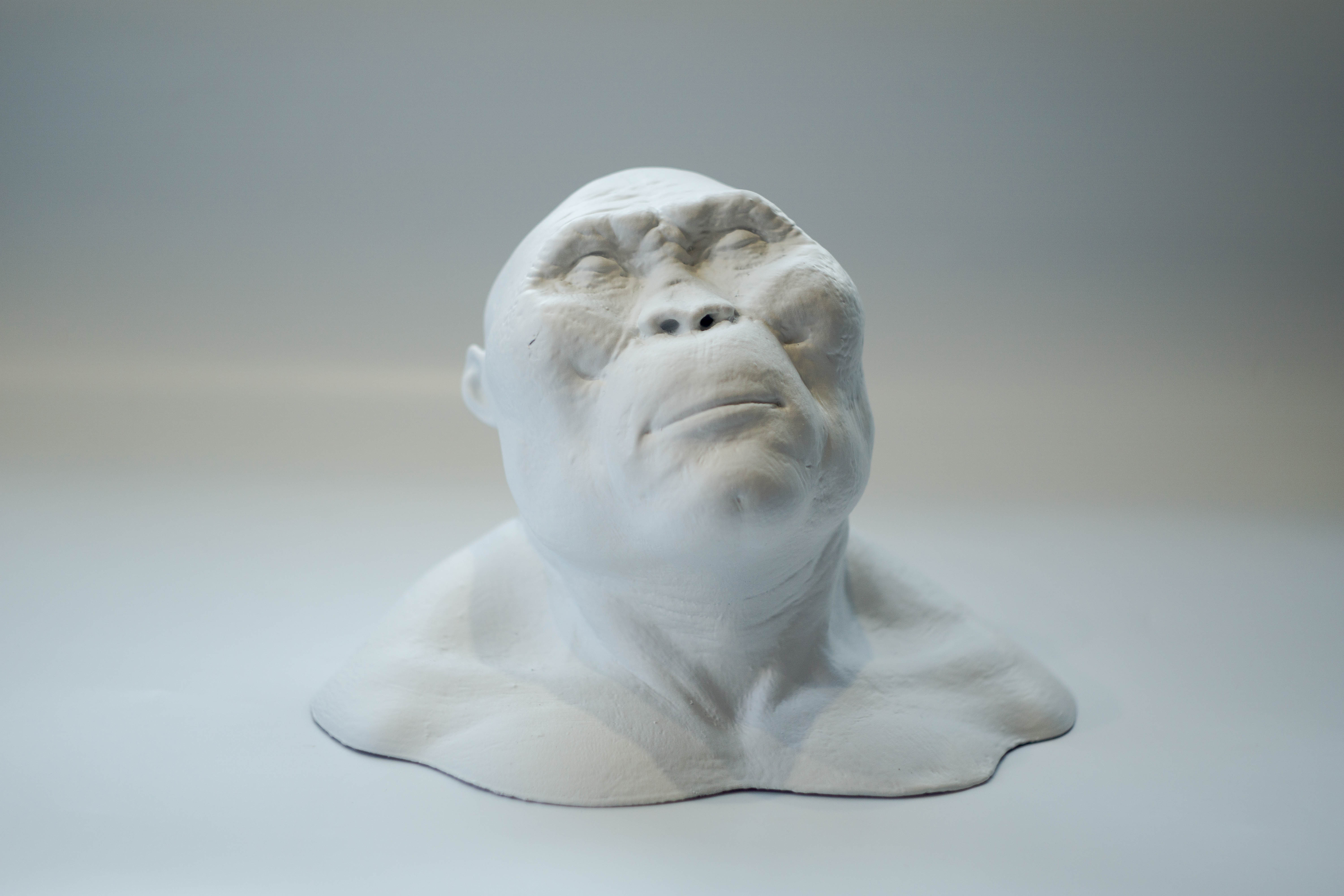 Paranthropus Boisei Bust, 3d printed Australopithecus Boisei | Inspire ...