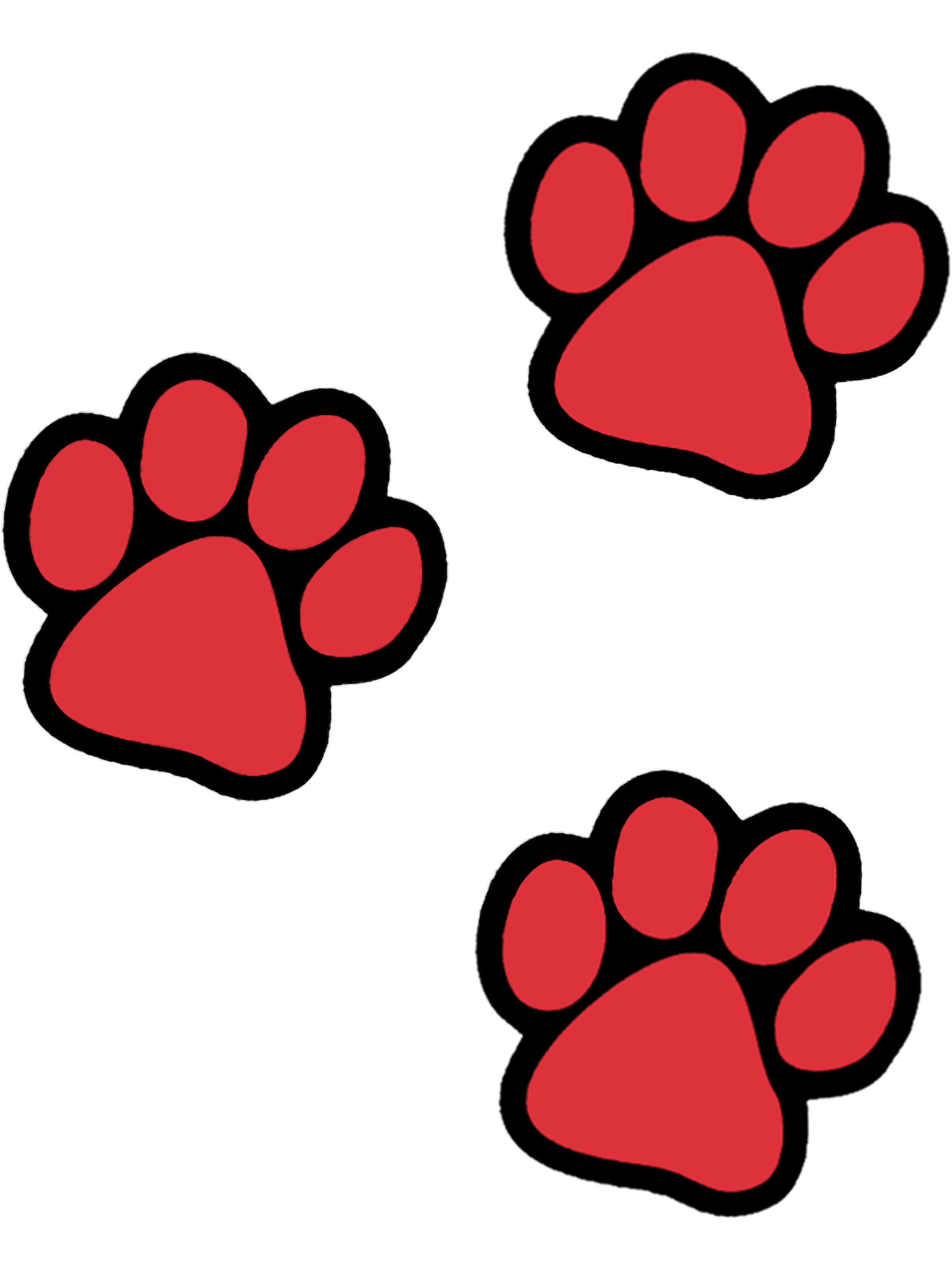 Red amp Black Paw Prints (Northeastern University amp Boston | Inspire ...