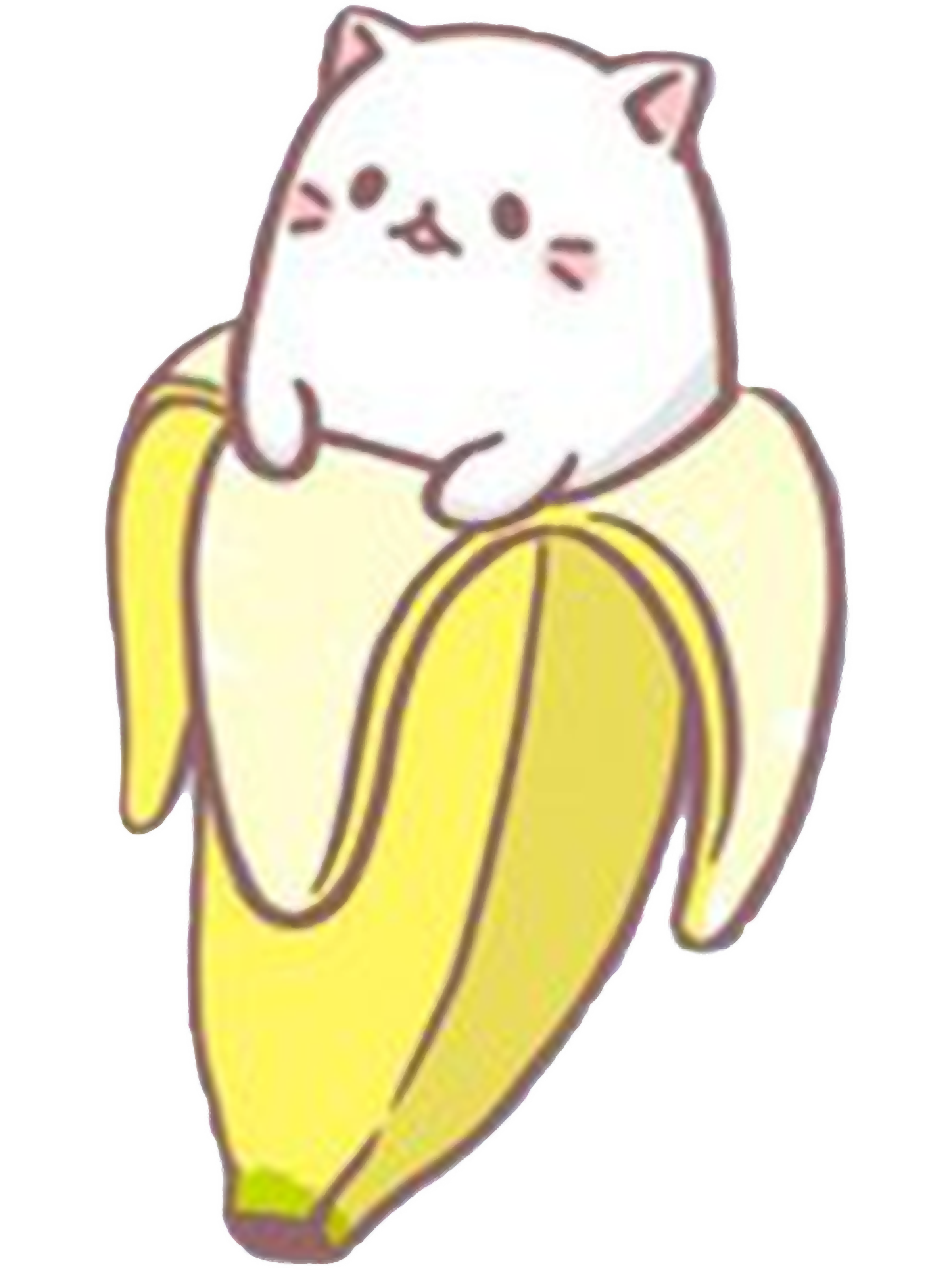 Cat in a banana, Banyanya! Funny s | Inspire Uplift