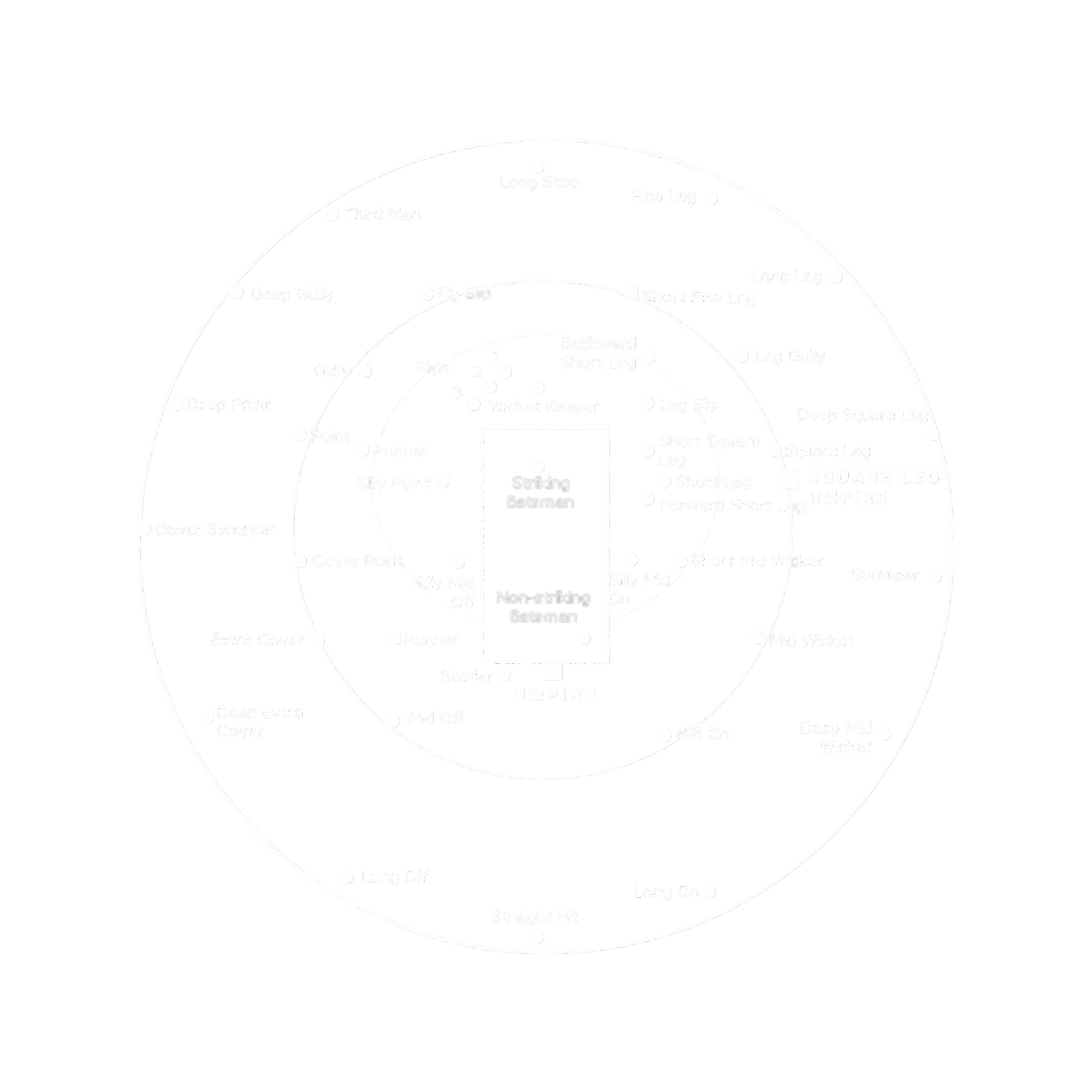 CRICKET PITCH POSITIONS Fielding Positions Diagram | Inspire Uplift