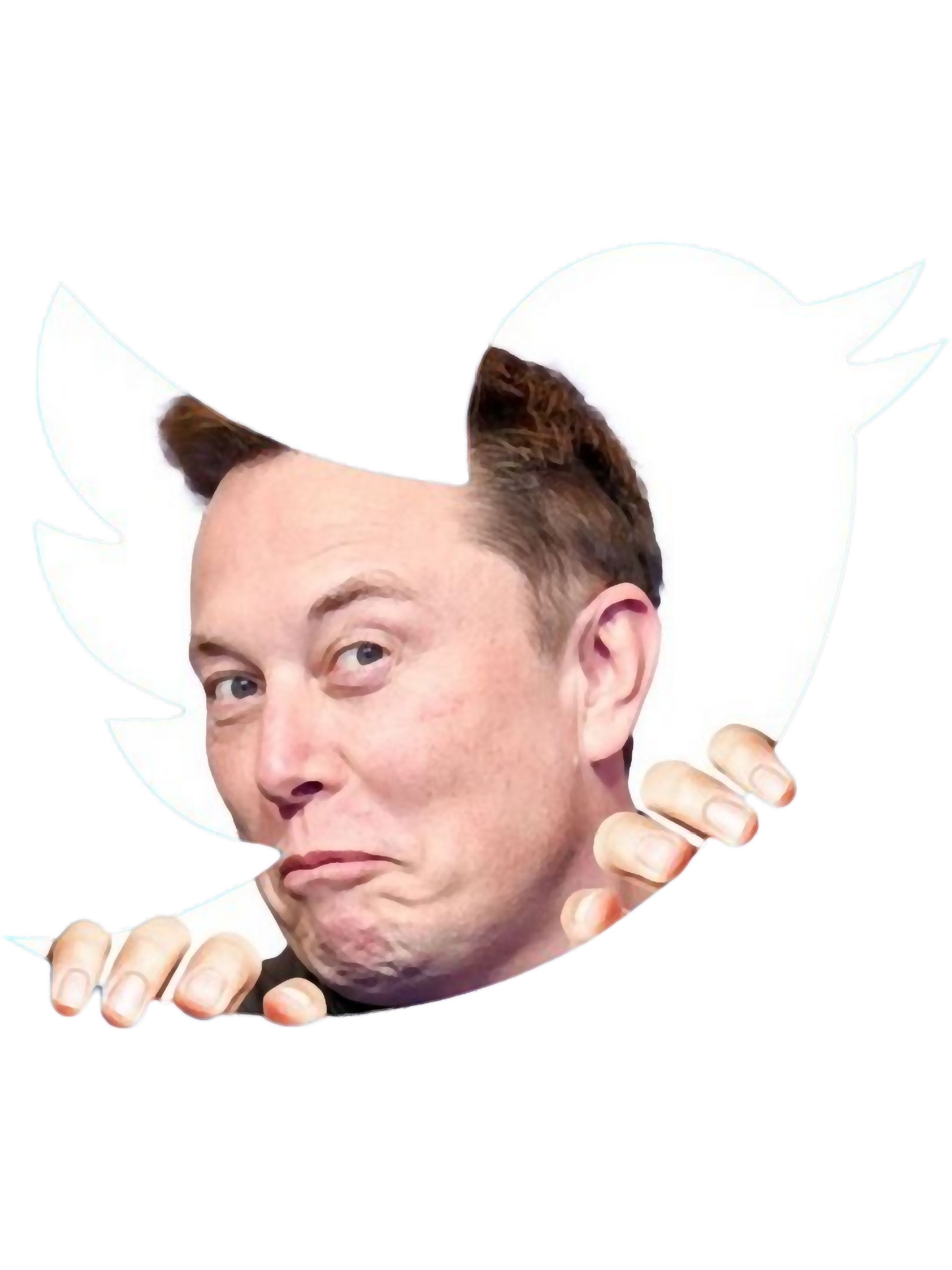 Elon Musk Buying Twitter Meme setting the bird freeelon meme | Inspire ...