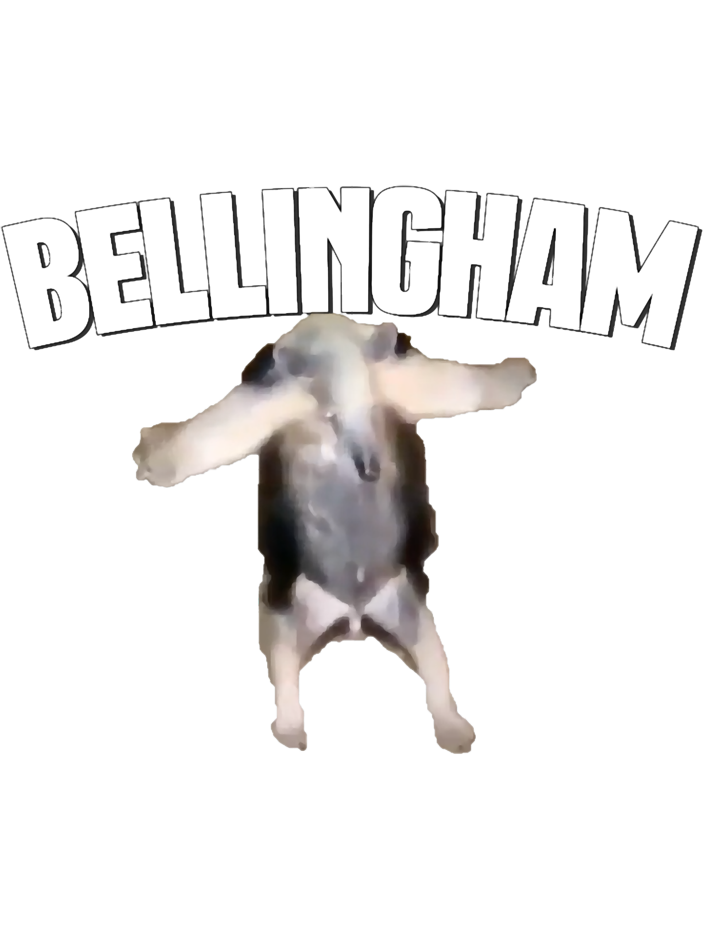 Bellingham JudeGoal CelebrationMeme 2023 2024 - Inspire Uplift