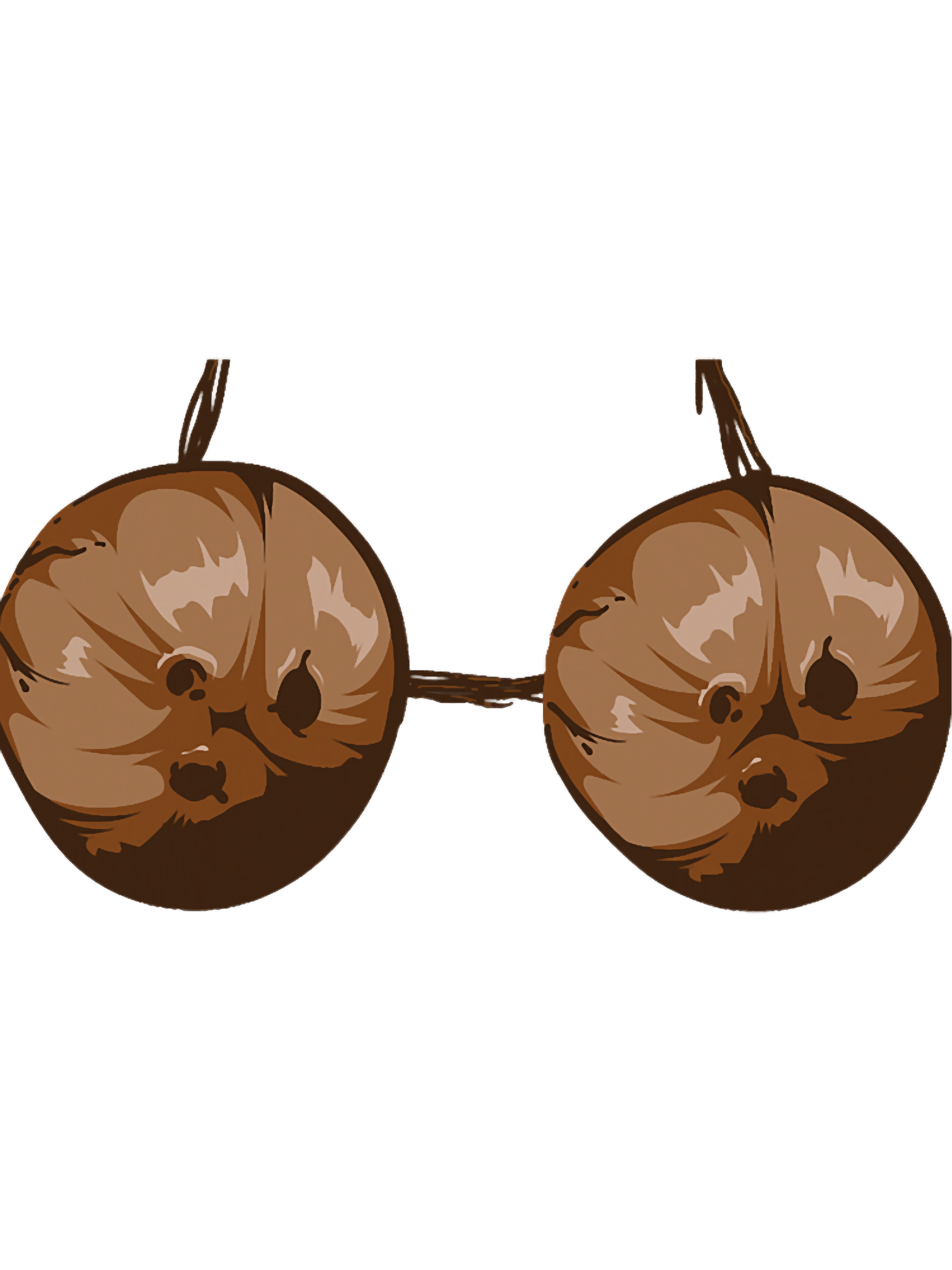 Summer Coconut Bra Halloween CostumeFunny Outfit Gift . | Inspire Uplift