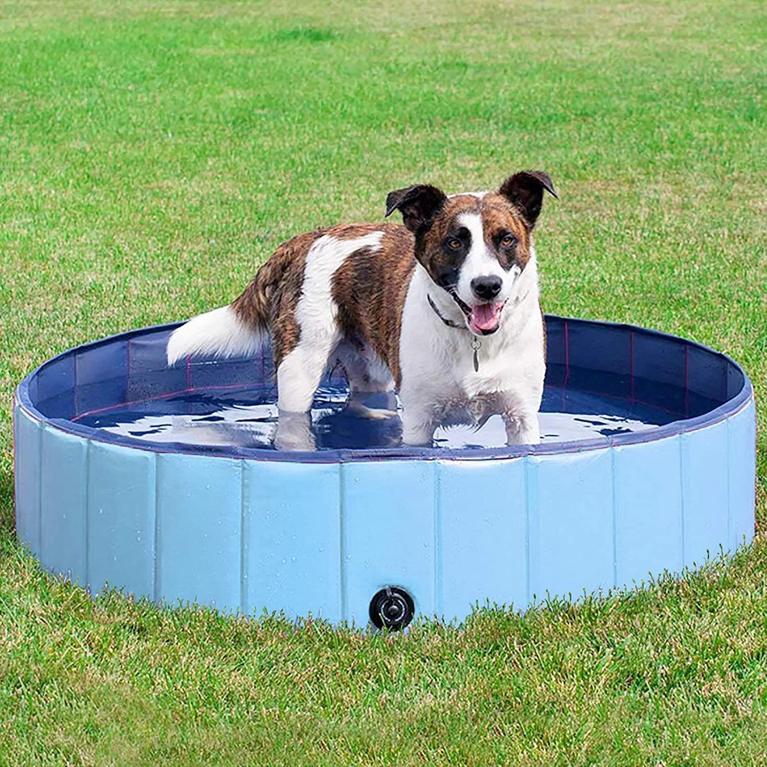 Outdoor Collapsible Portable Paw Pool For Dogs & Cats | Inspire Uplift