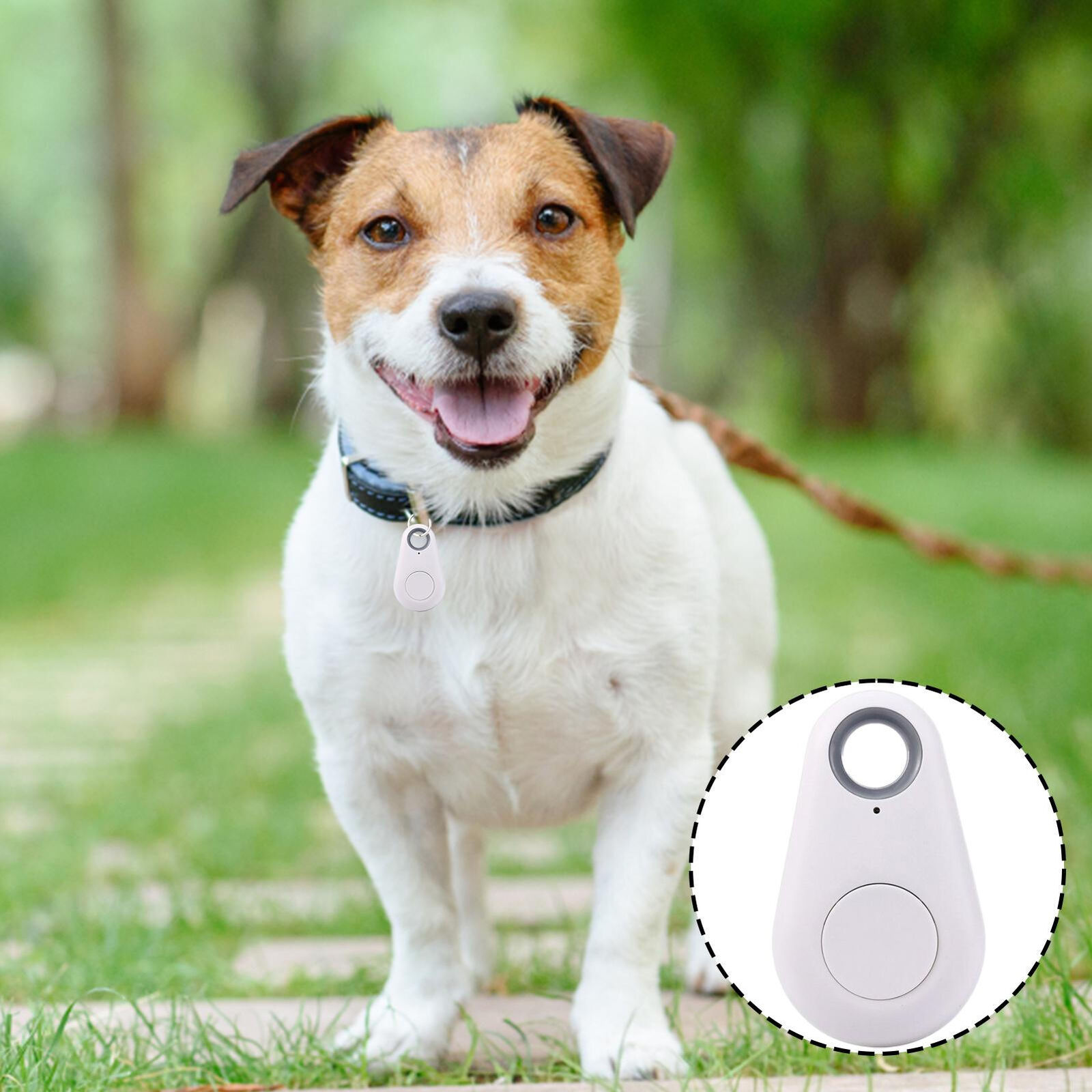 Anti-Lost Pet GPS Tracker | Inspire Uplift