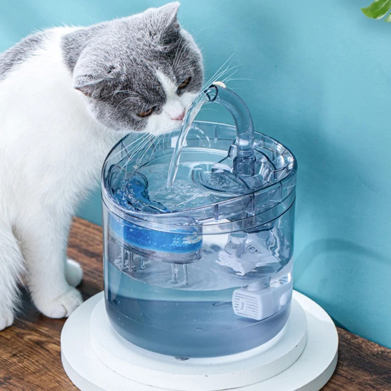 AutoSmart Cat Water Fountain Quiet Tilted Design Pet Drinker | Inspire ...