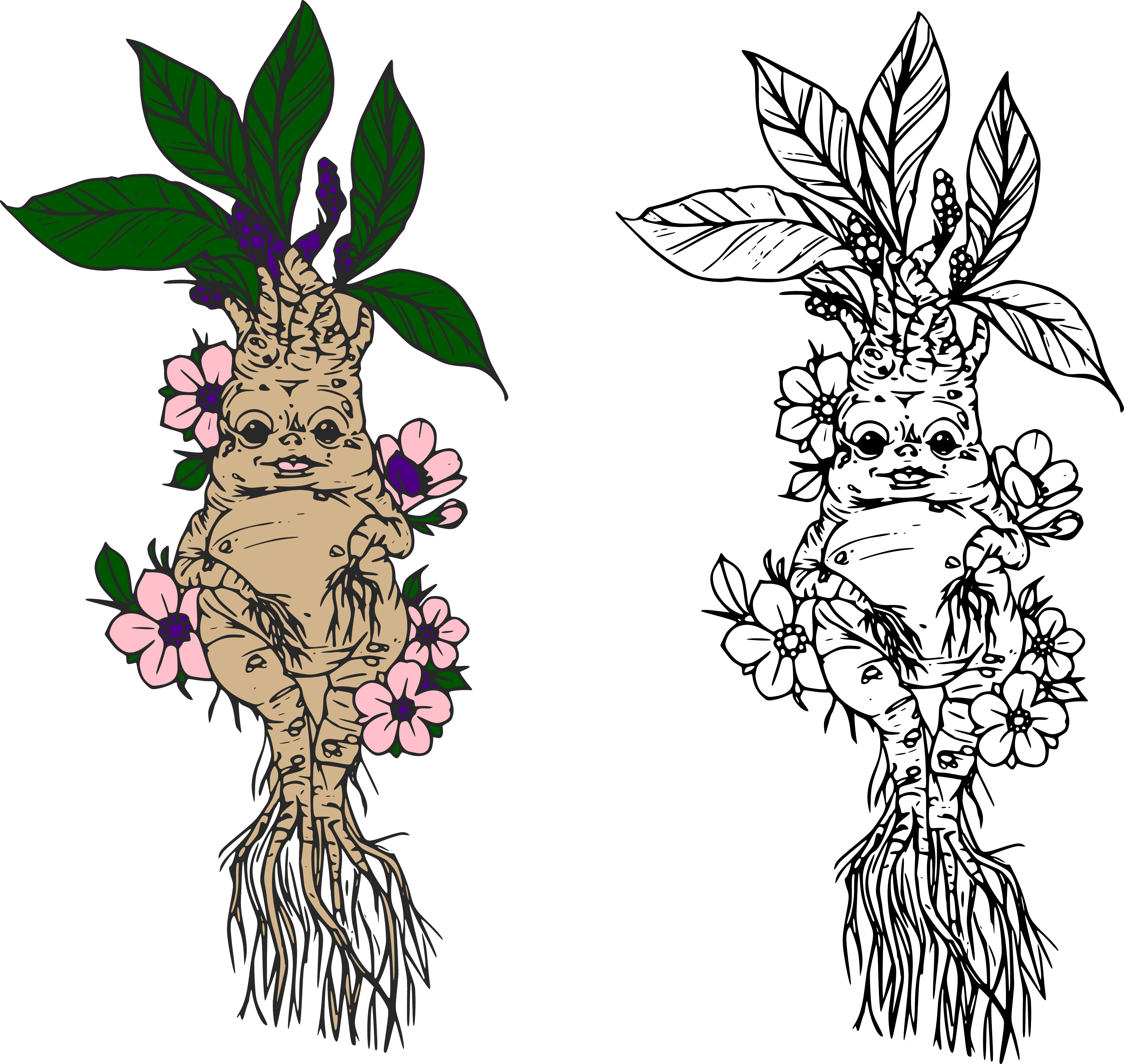 Mandrake with flowers Svg, Harry Potter Svg, Harry Potter Qu | Inspire ...