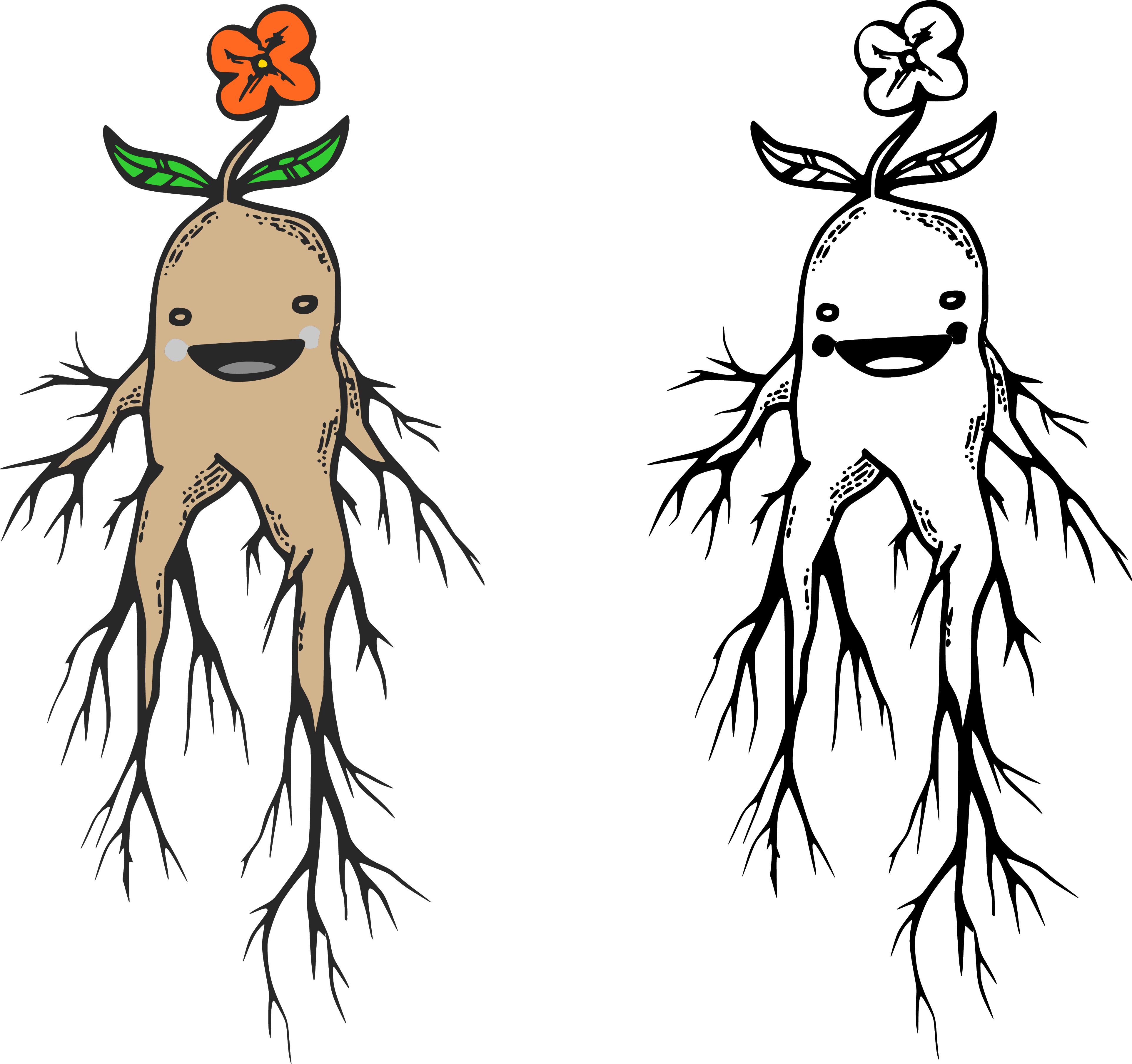 Mandrake Svg, Harry Potter Svg, Harry Potter Quotes Svg, Har | Inspire ...