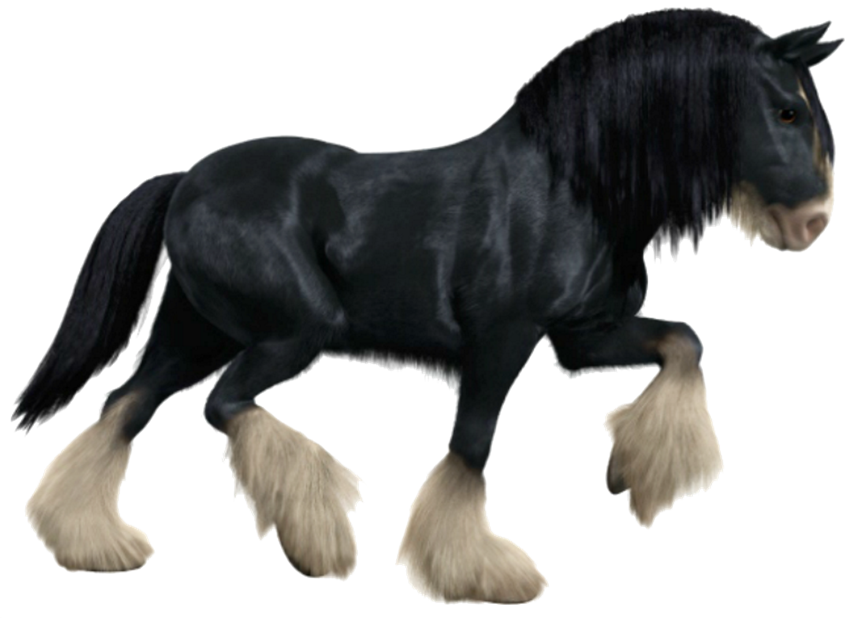 Angus PNG Transparent Images, Brave PNG, Princess Merida PNG | Inspire ...