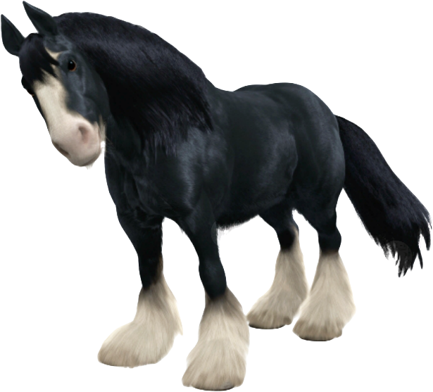 Angus PNG Transparent Images, Brave PNG, Princess Merida PNG | Inspire ...
