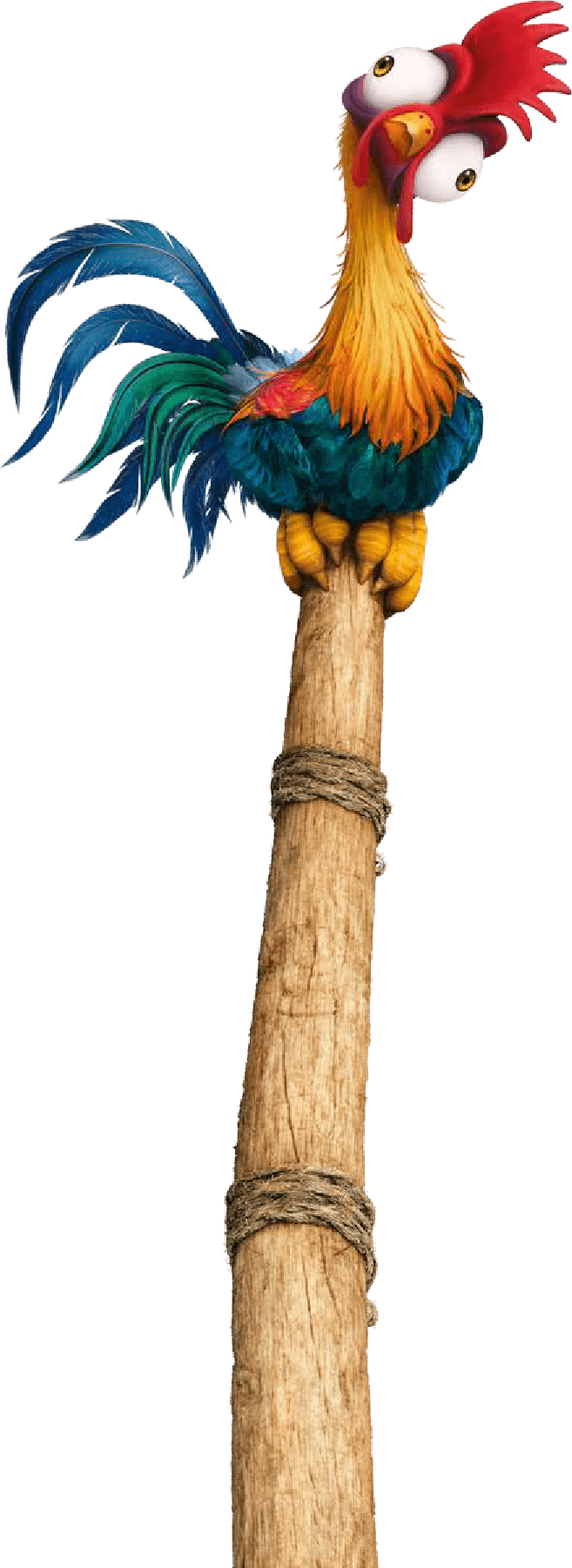 Hei Hei PNG Transparent Images, Disney Moana PNG, Clipart, D | Inspire ...