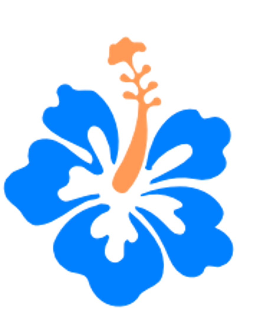 Moana Flower PNG Transparent Images, Disney Moana PNG, Clipa | Inspire ...