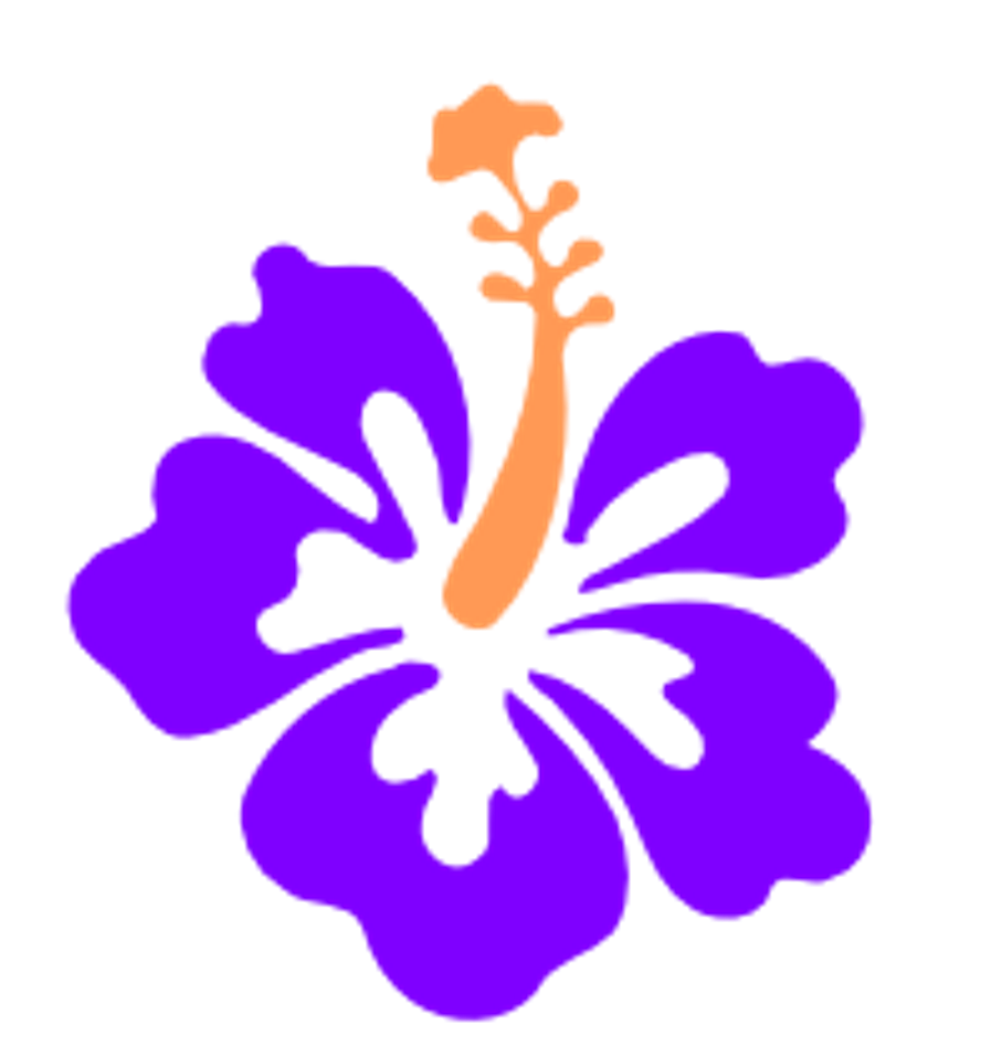 Moana Flower PNG Transparent Images, Disney Moana PNG, Clipa | Inspire ...