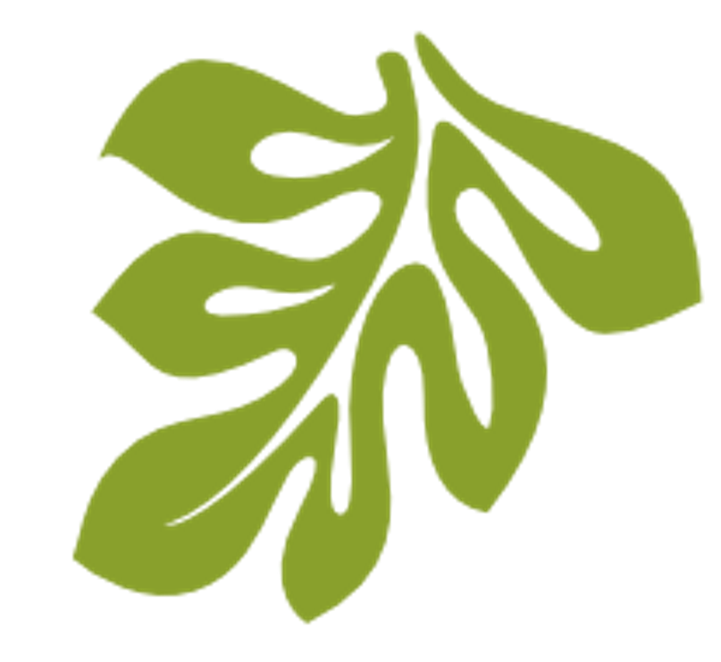 Moana Flower PNG Transparent Images, Disney Moana PNG, Clipa | Inspire ...