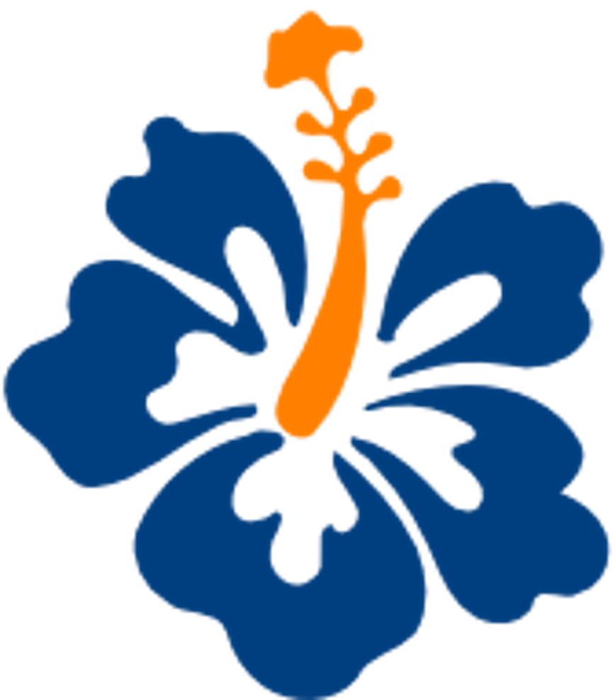 Moana Flower PNG Transparent Images, Disney Moana PNG, Clipa - Inspire ...