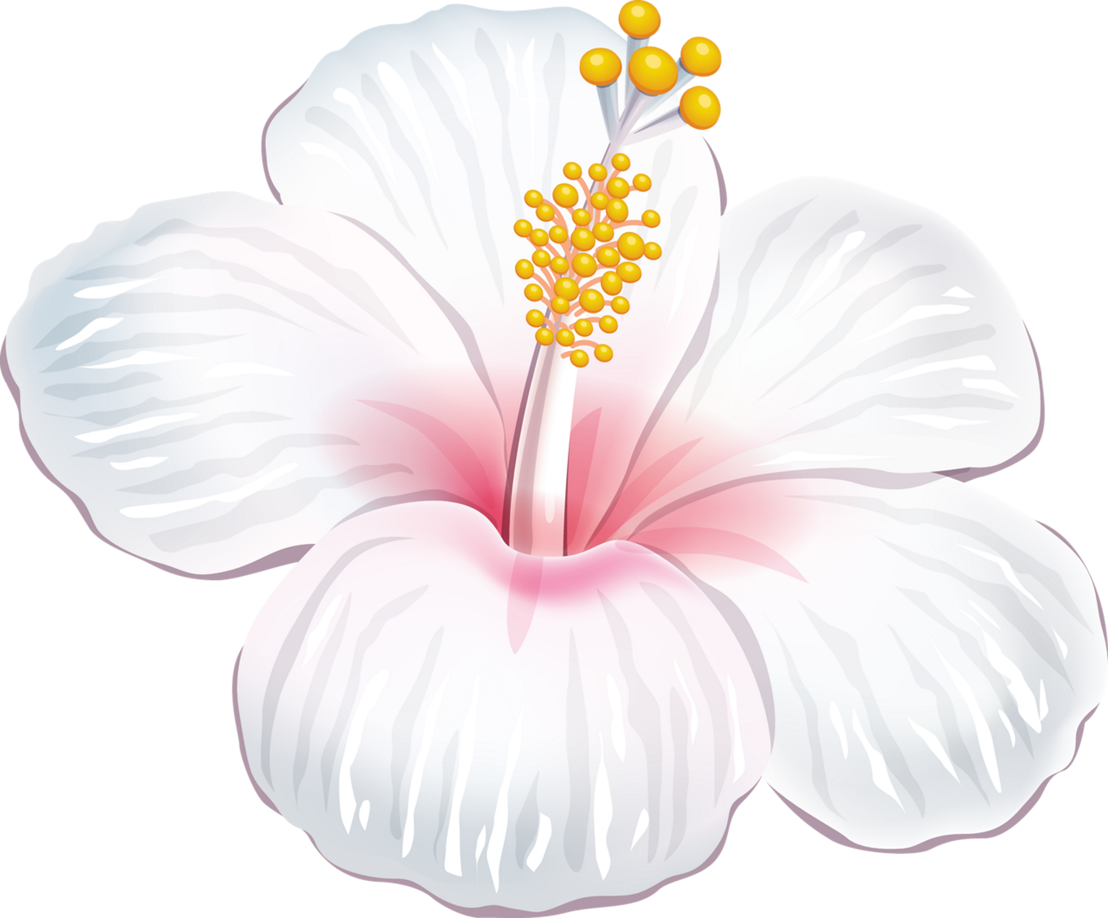 Moana Flower PNG Transparent Images, Disney Moana PNG, Clipa - Inspire ...