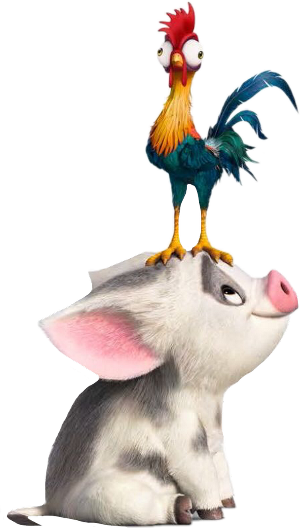Pua And Hei Hei PNG Transparent Images, Disney Moana PNG, Cl | Inspire ...