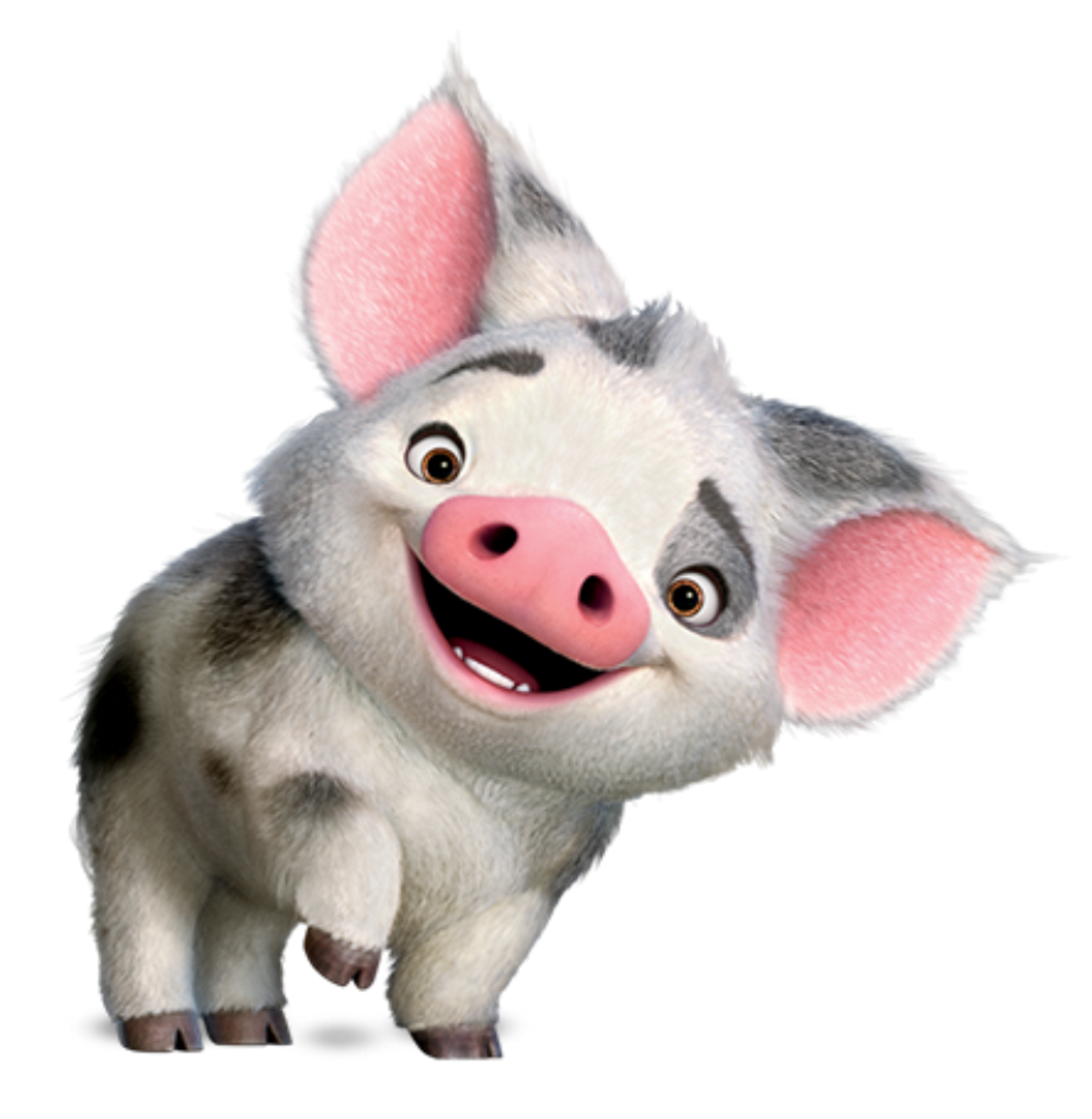 Moana Pua PNG Transparent Images, Disney Moana PNG, Clipart, | Inspire ...