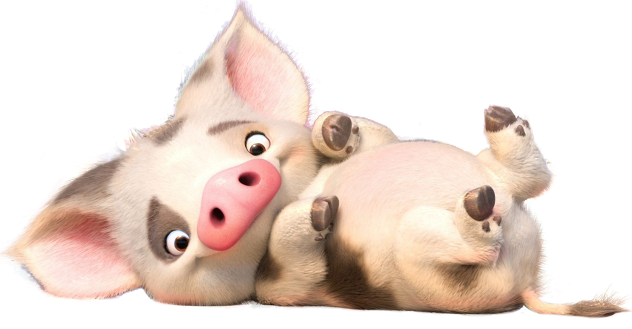 Moana Pua PNG Transparent Images, Disney Moana PNG, Clipart, | Inspire ...