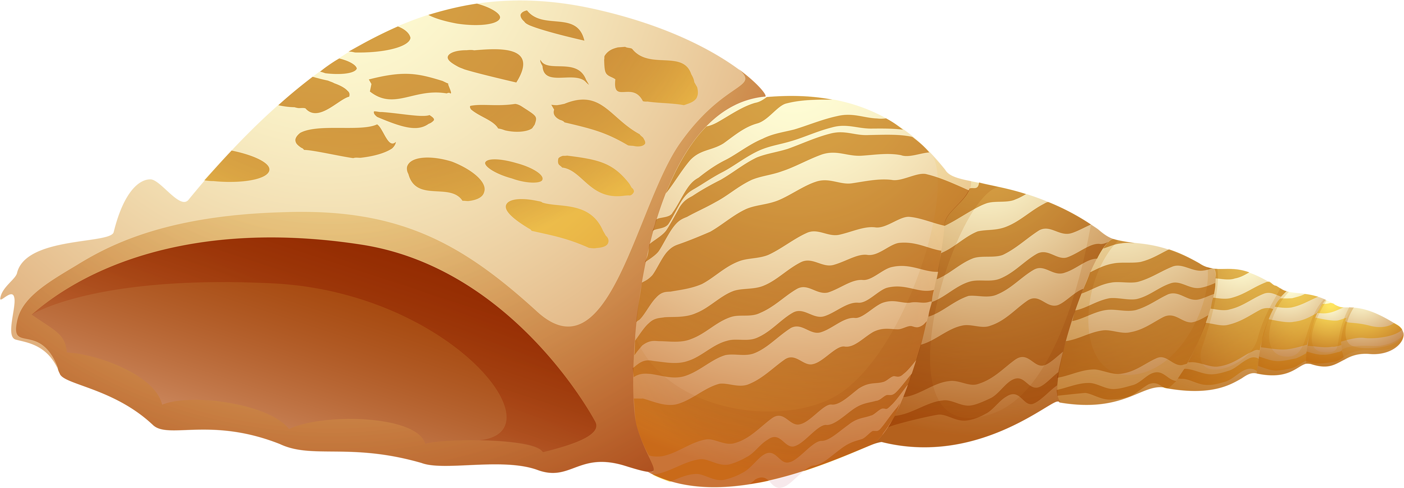 Seashell PNG Transparent Images, Disney Moana PNG, Clipart, | Inspire ...