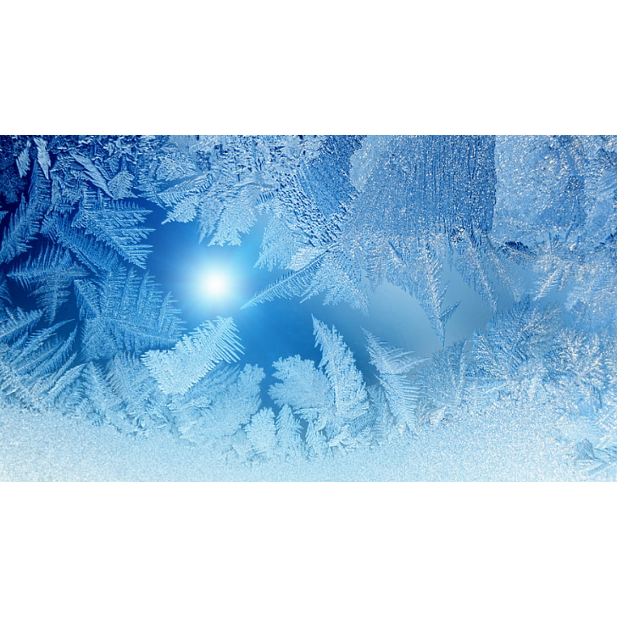 Frozen Png, Frozen logo Png, Frozen family Png, Frozen Birth | Inspire ...