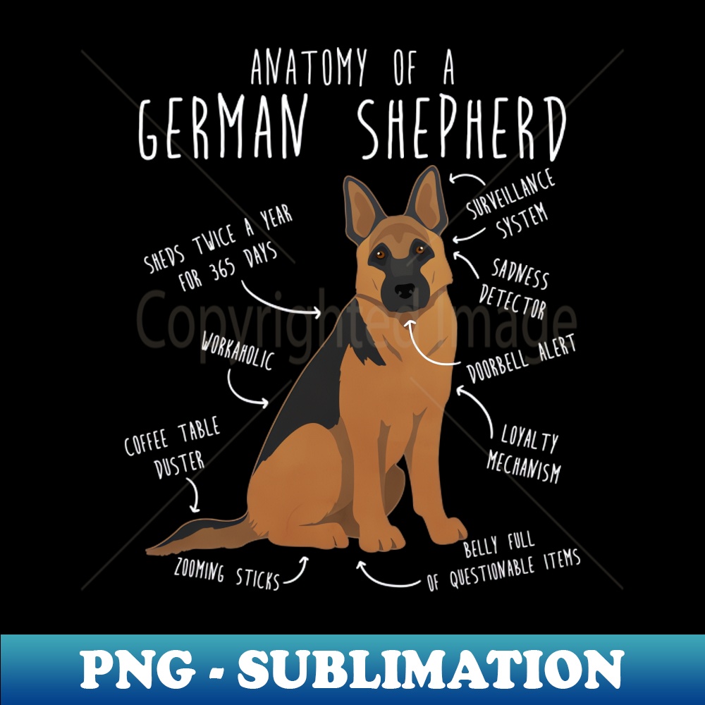 German Shepherd Dog Anatomy - PNG Transparent Sublimation De | Inspire ...