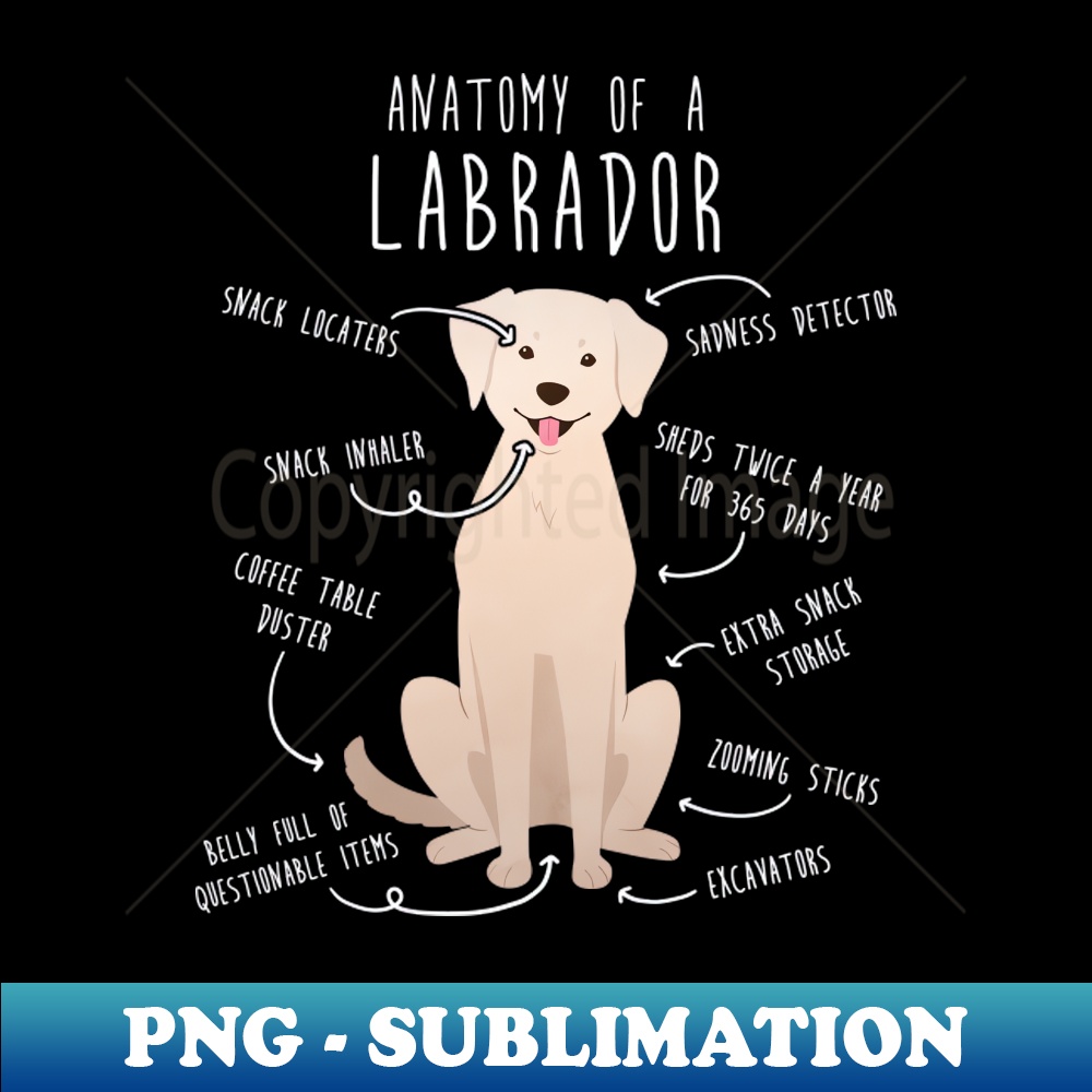 Yellow Labrador Retriever Dog Anatomy - Digital Sublimation | Inspire ...