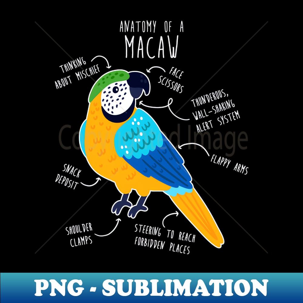 Blue and Gold Macaw Parrot Anatomy - Premium Sublimation Dig | Inspire ...