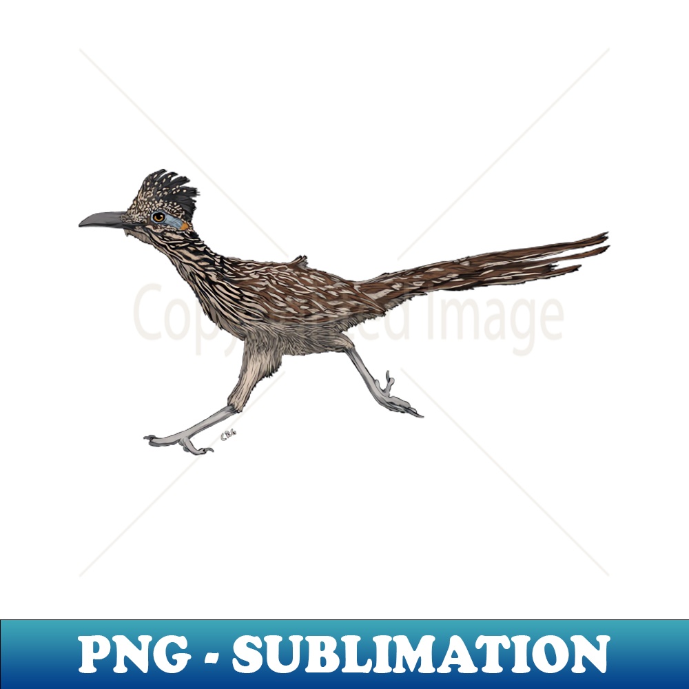 Roadrunner - Vintage Sublimation PNG Download - Unlock Vibra | Inspire ...