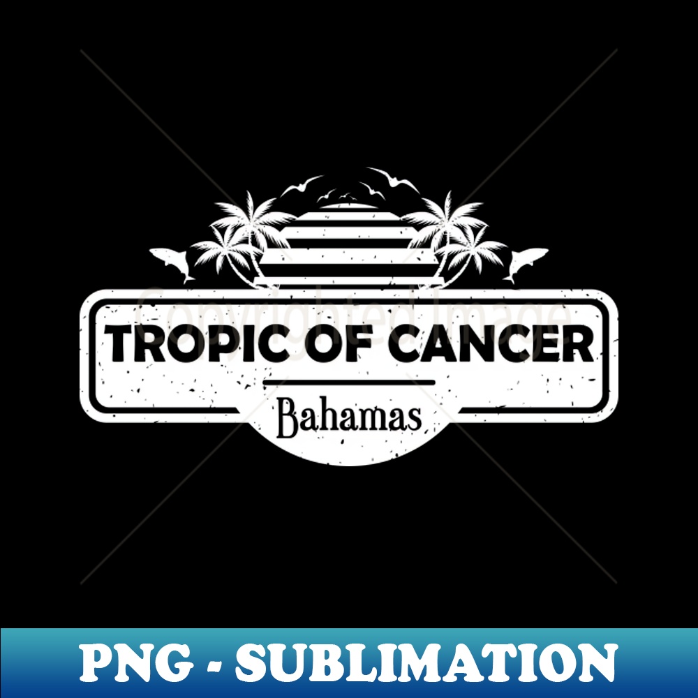 Tropic Of Cancer Beach Bahamas Palm Trees Sunset Summer - Mo | Inspire ...