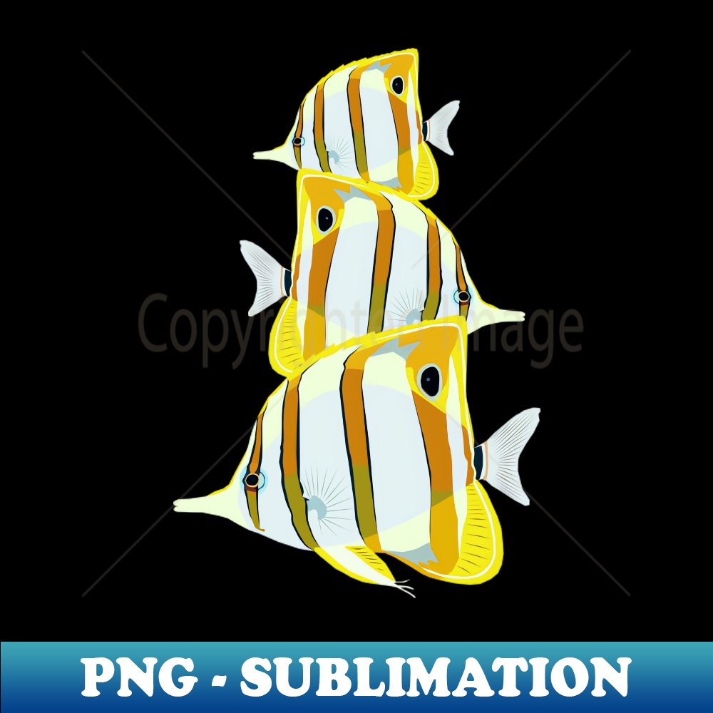 Tropical Coral Marine Butterfly Fish Animal - High-Resolutio | Inspire ...