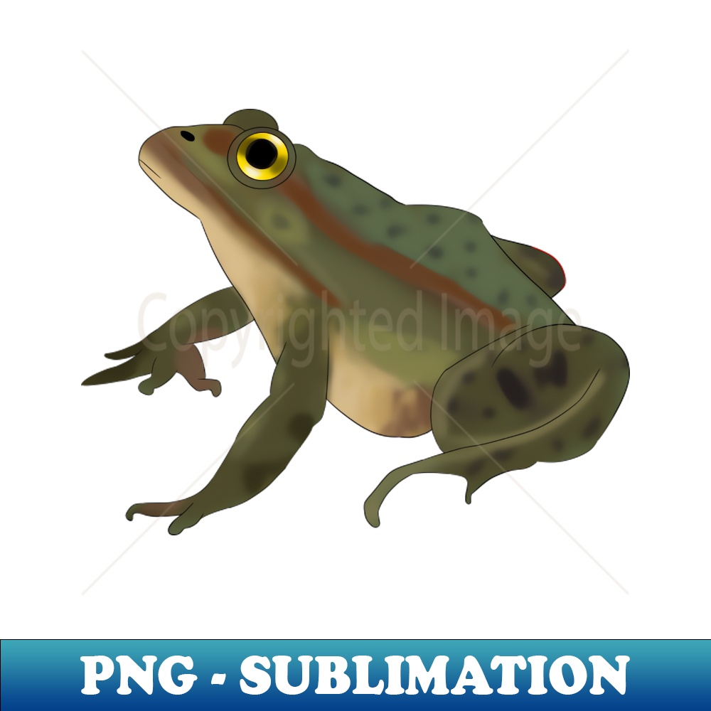 Realistic Frog - Exclusive PNG Sublimation Download - Perfec | Inspire ...