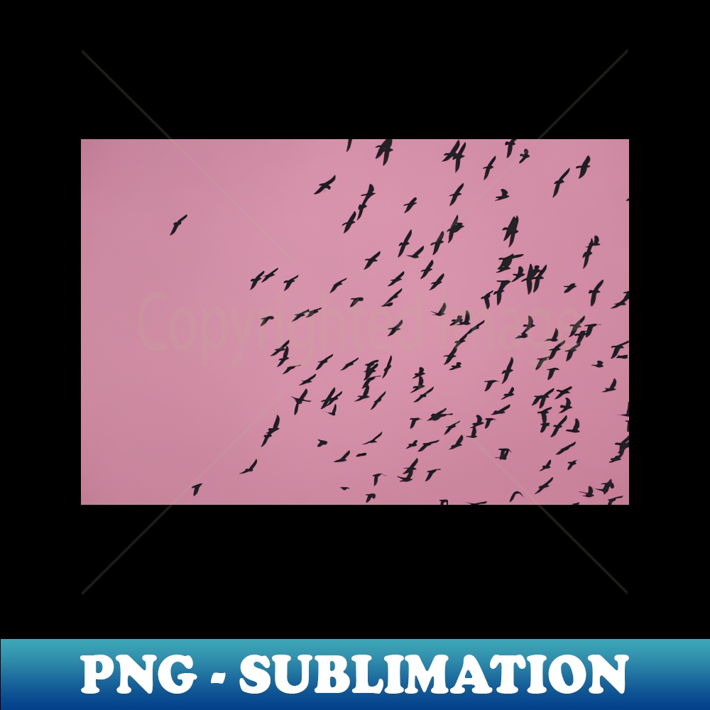 Flying again - Special Edition Sublimation PNG File - Unlock | Inspire ...
